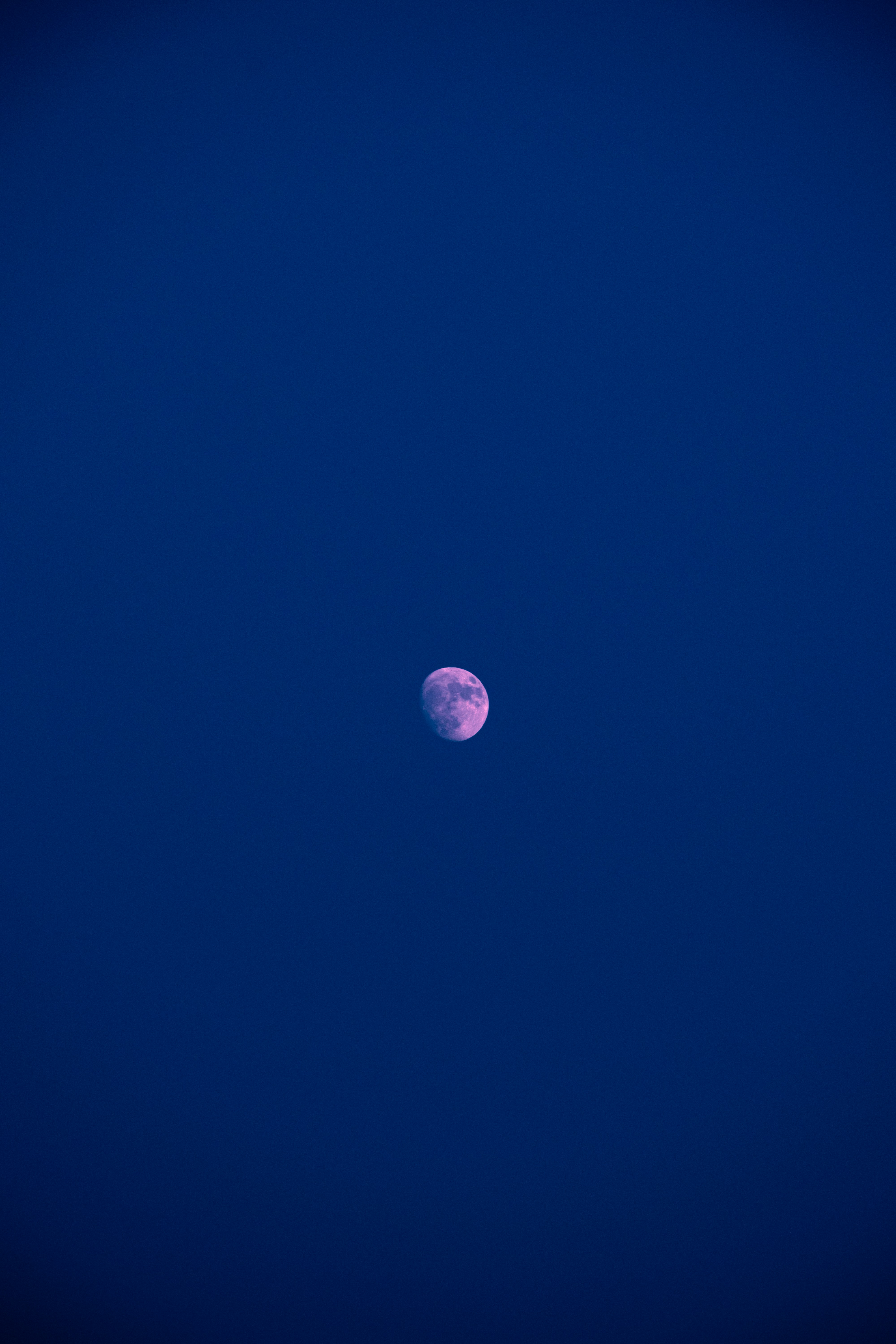 Moon in the Blue Hour: A Pink-Tinted Crescent in Deep Night