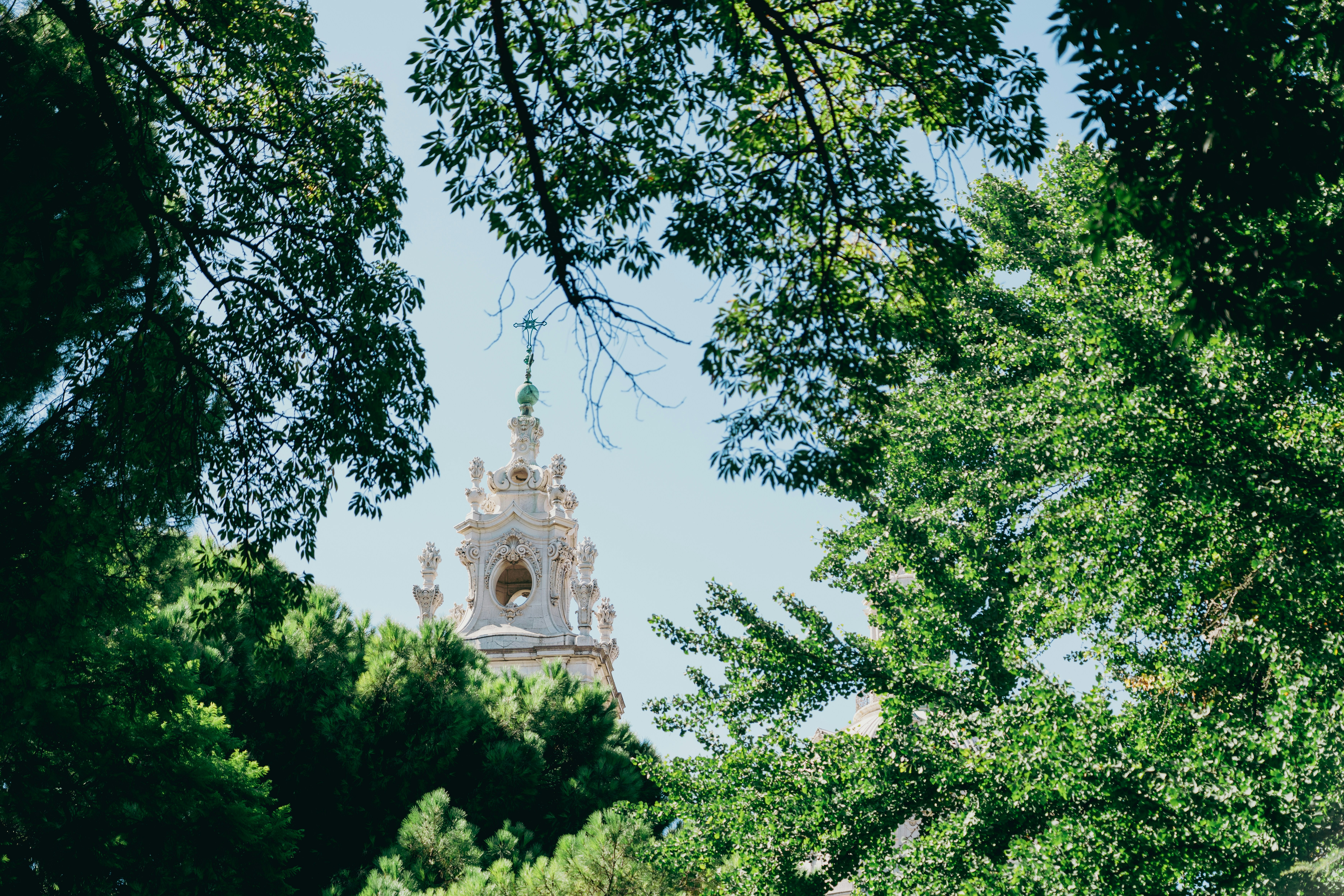 Church tower framed by lush green tree branches under a clear sky.