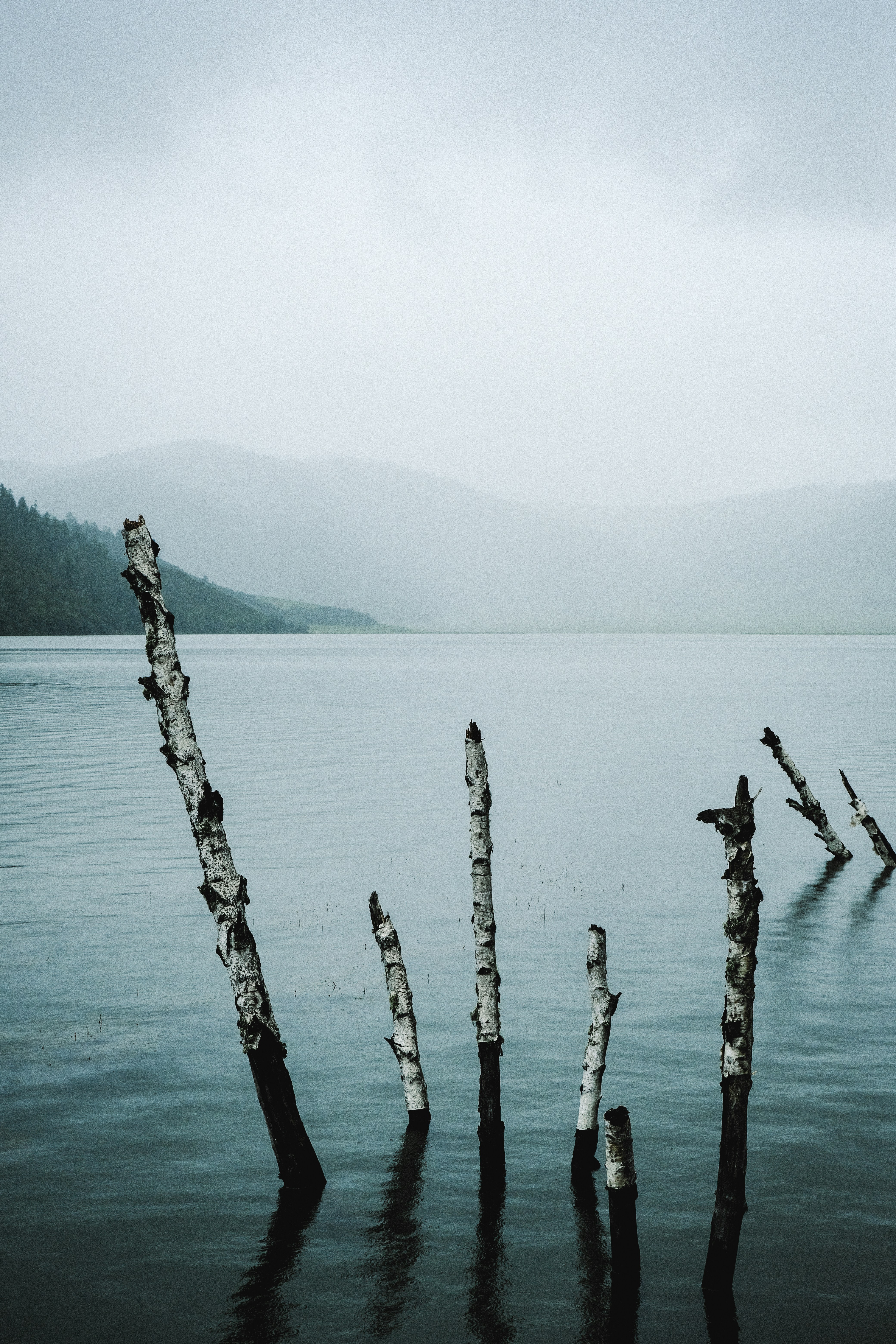 Photo by Cexin Ding with Fujifilm X-T30