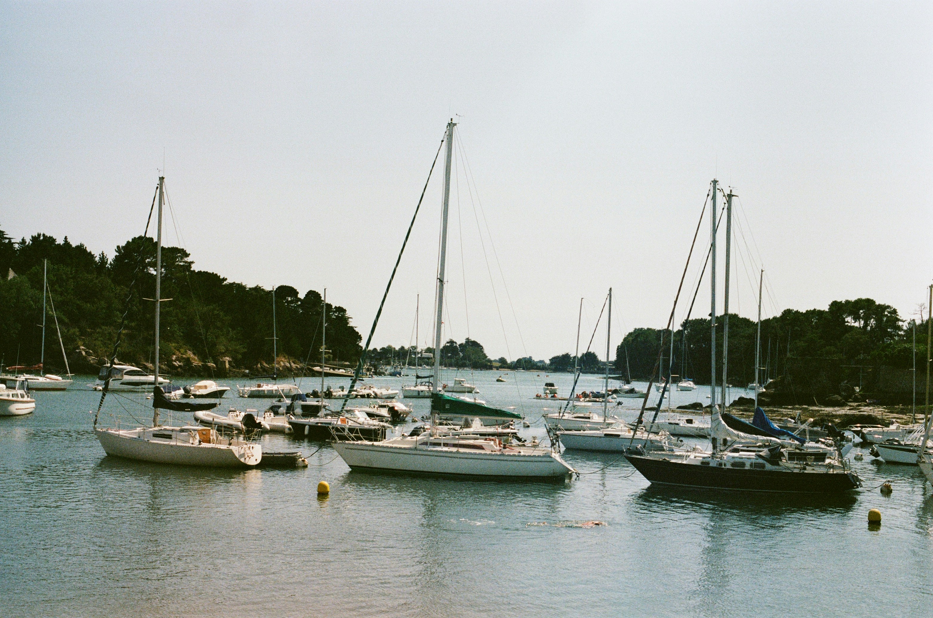 Sailboats anchored in a calm marina with lush greenery on the horizon.