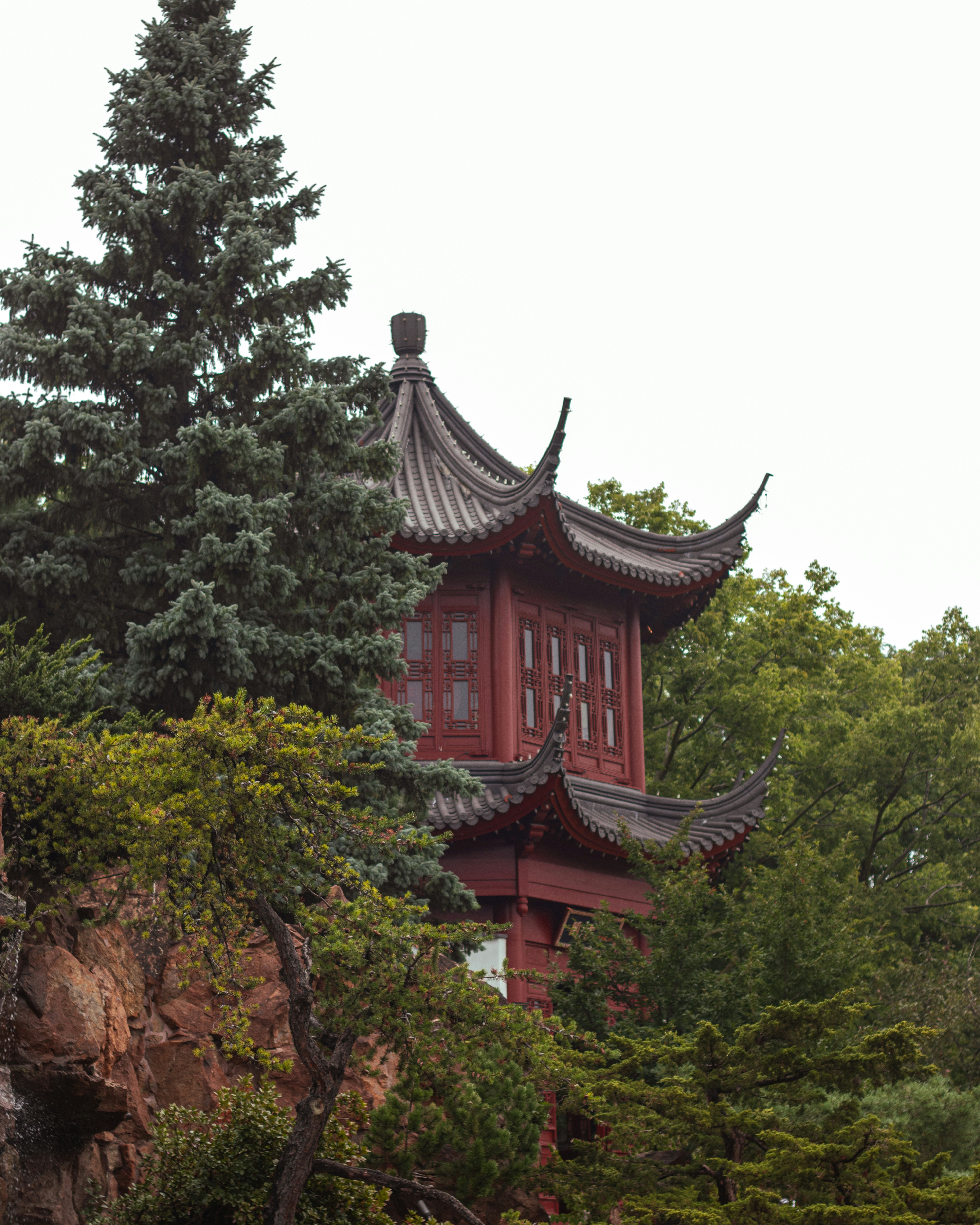 Pagoda in the Chinese garden obfuscated by foliage