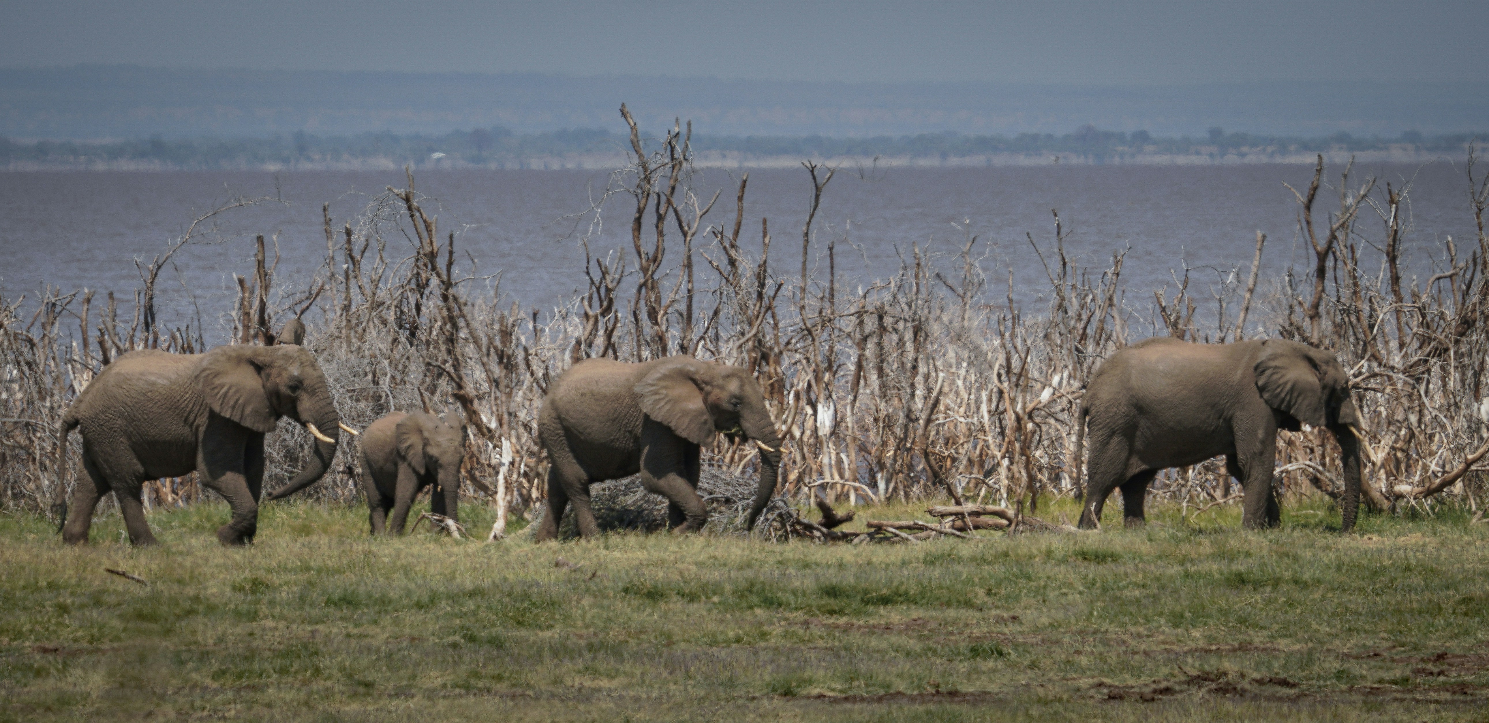 Photo by Ricardo Ferro with Sony Alpha 6100