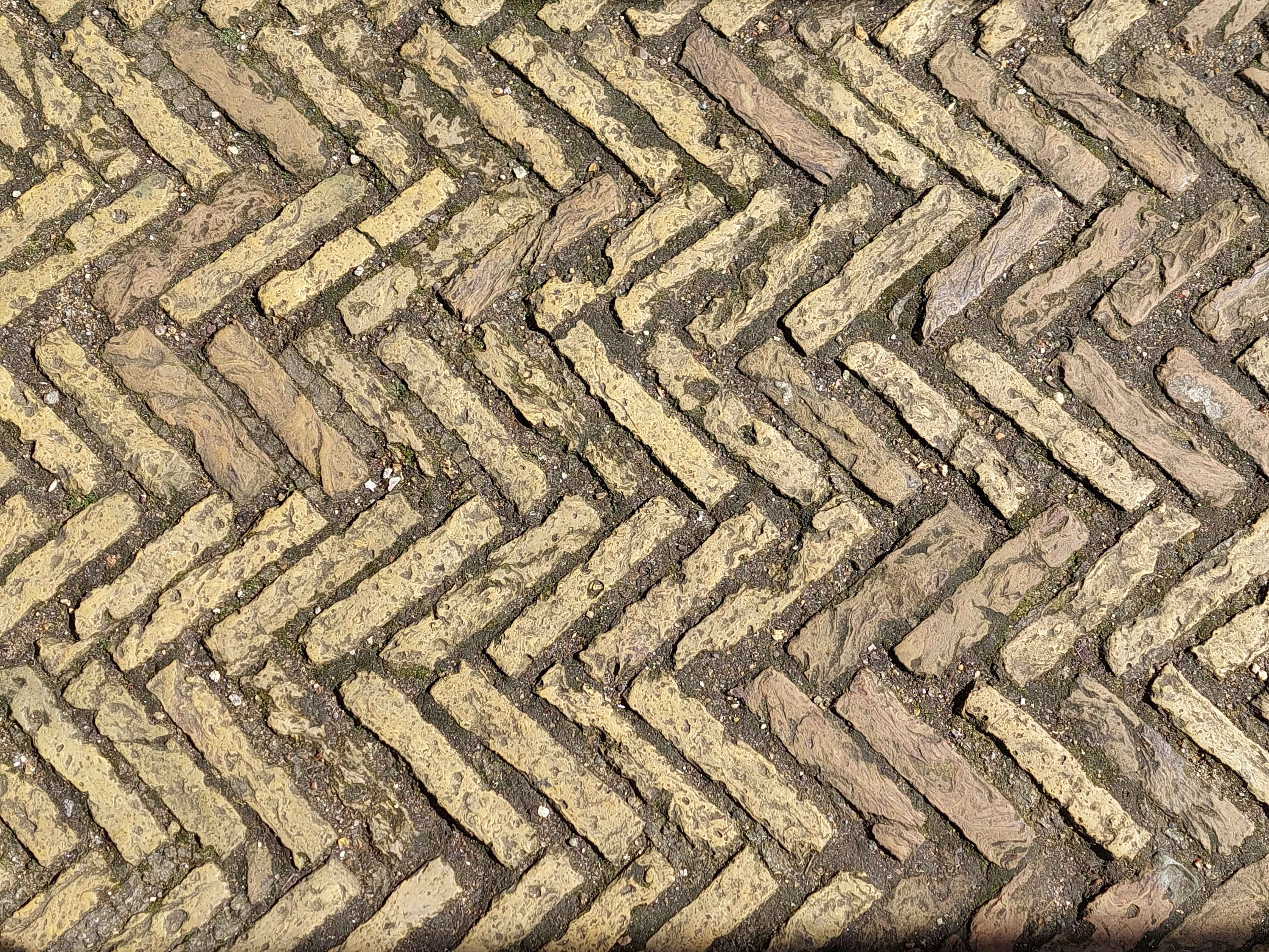 Photo by Desislava Ivanova with Samsung Galaxy A52s