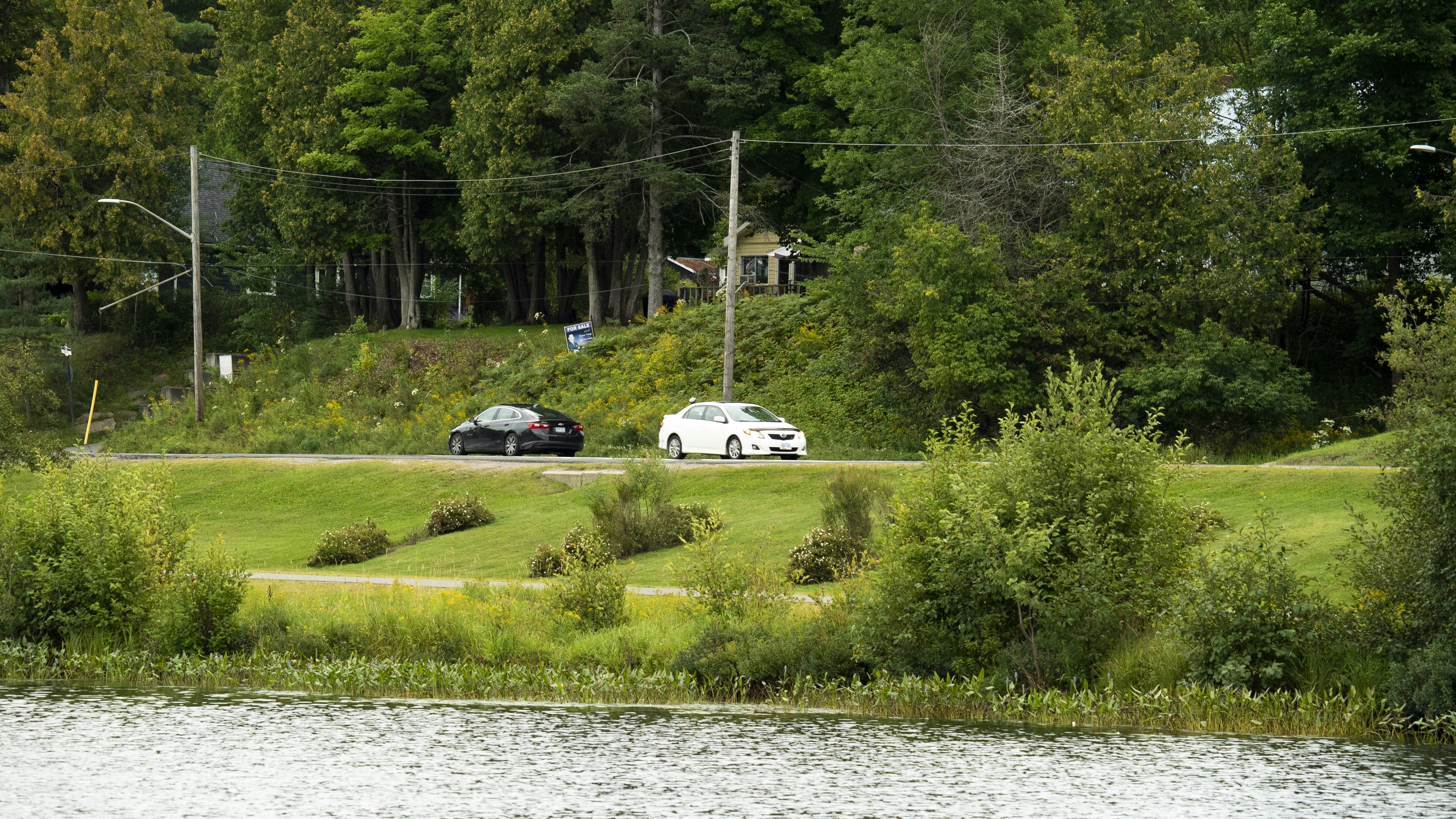 White sedan threads a quiet lakeside lane beneath a canopy of trees