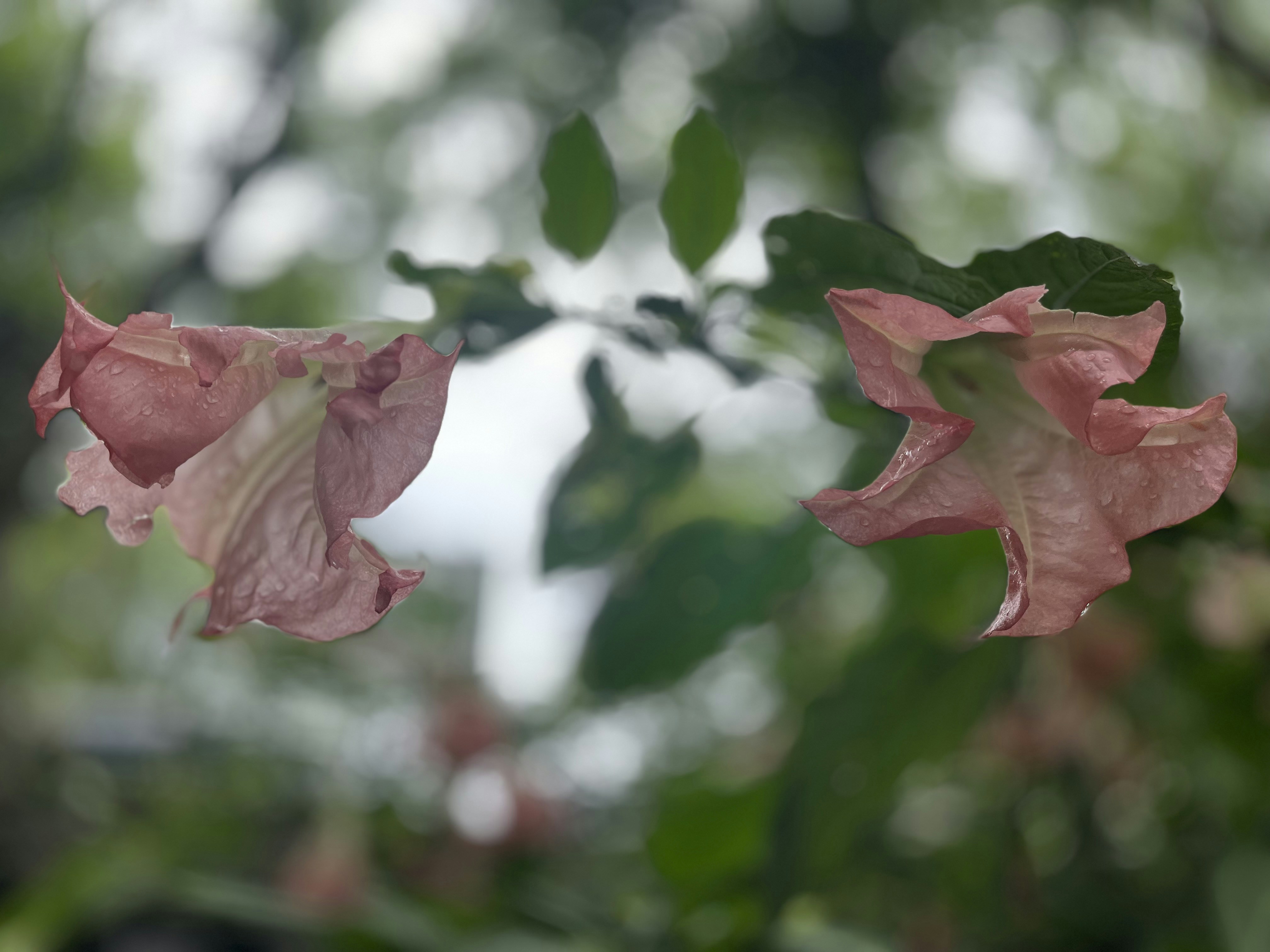 Jarvis Lopes (@jarvlopes) | Unsplash Photo Community