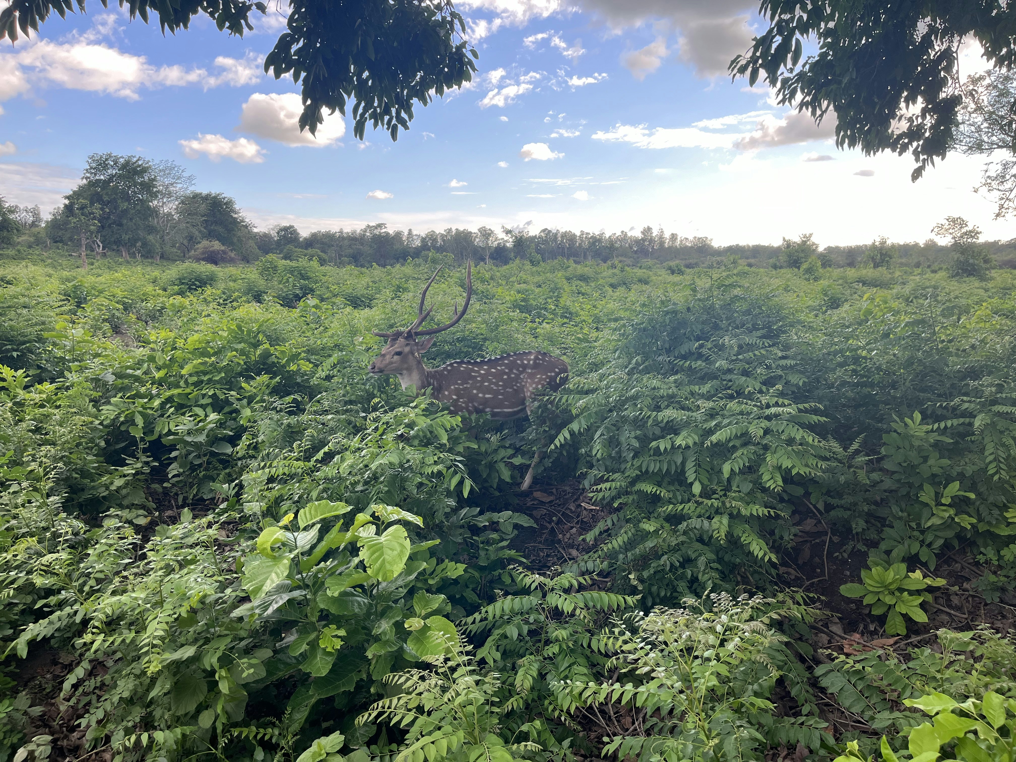 Jarvis Lopes (@jarvlopes) | Comunidade de fotos da Unsplash