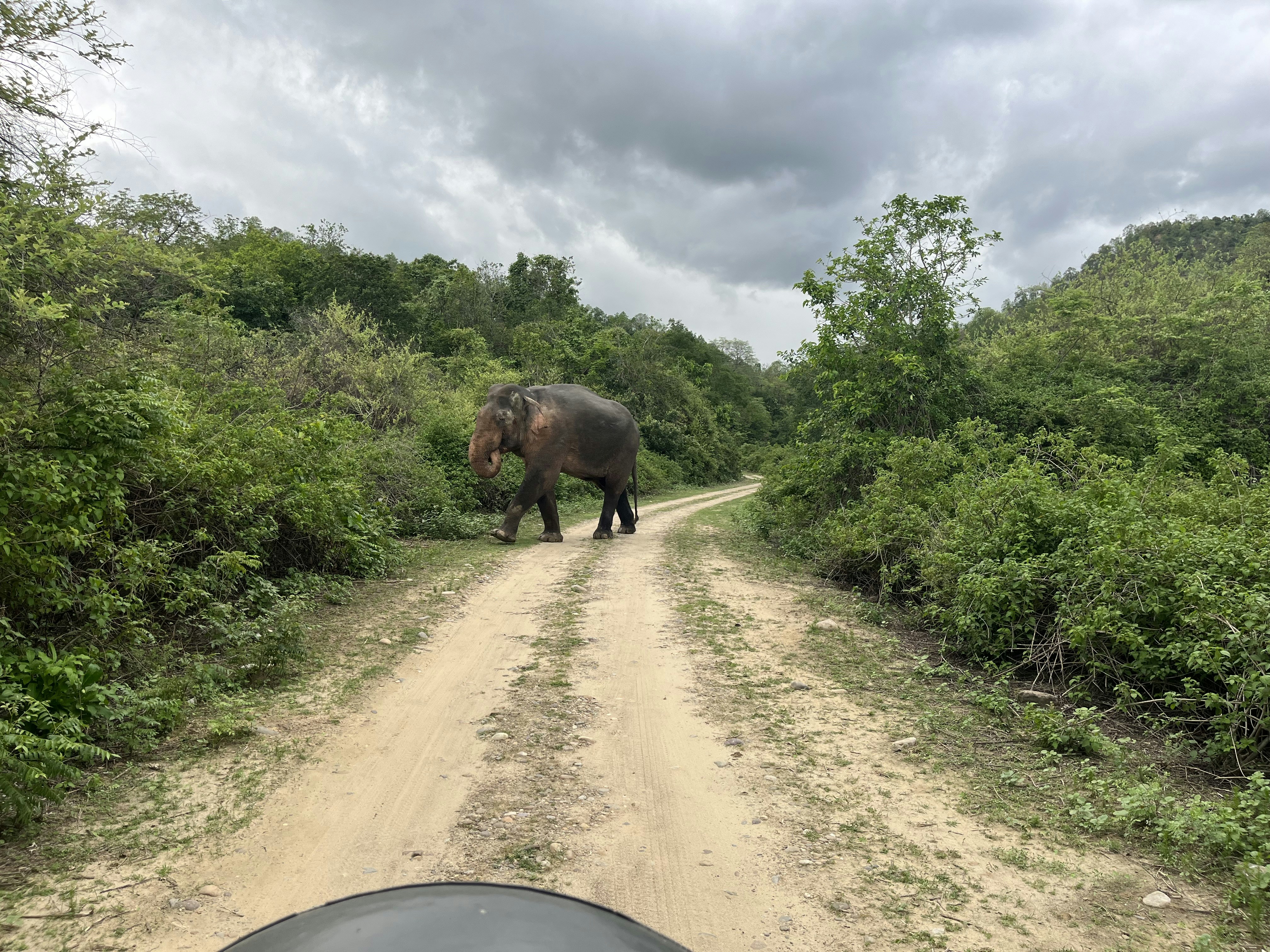 Jarvis Lopes (@jarvlopes) | Unsplash Photo Community