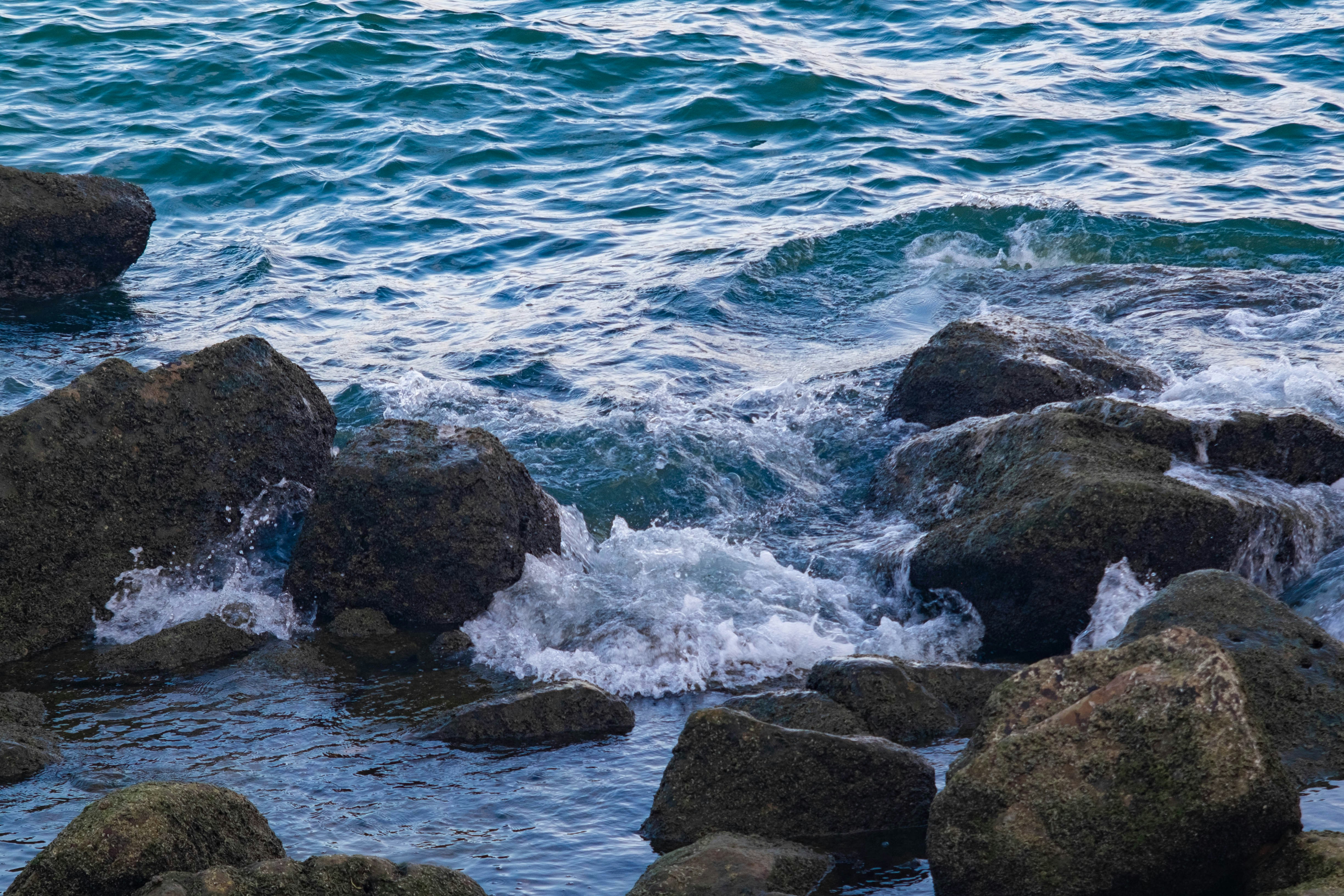 Un tas de roches qui sont dans l’eau photo – Image gratuite de Rock sur ...