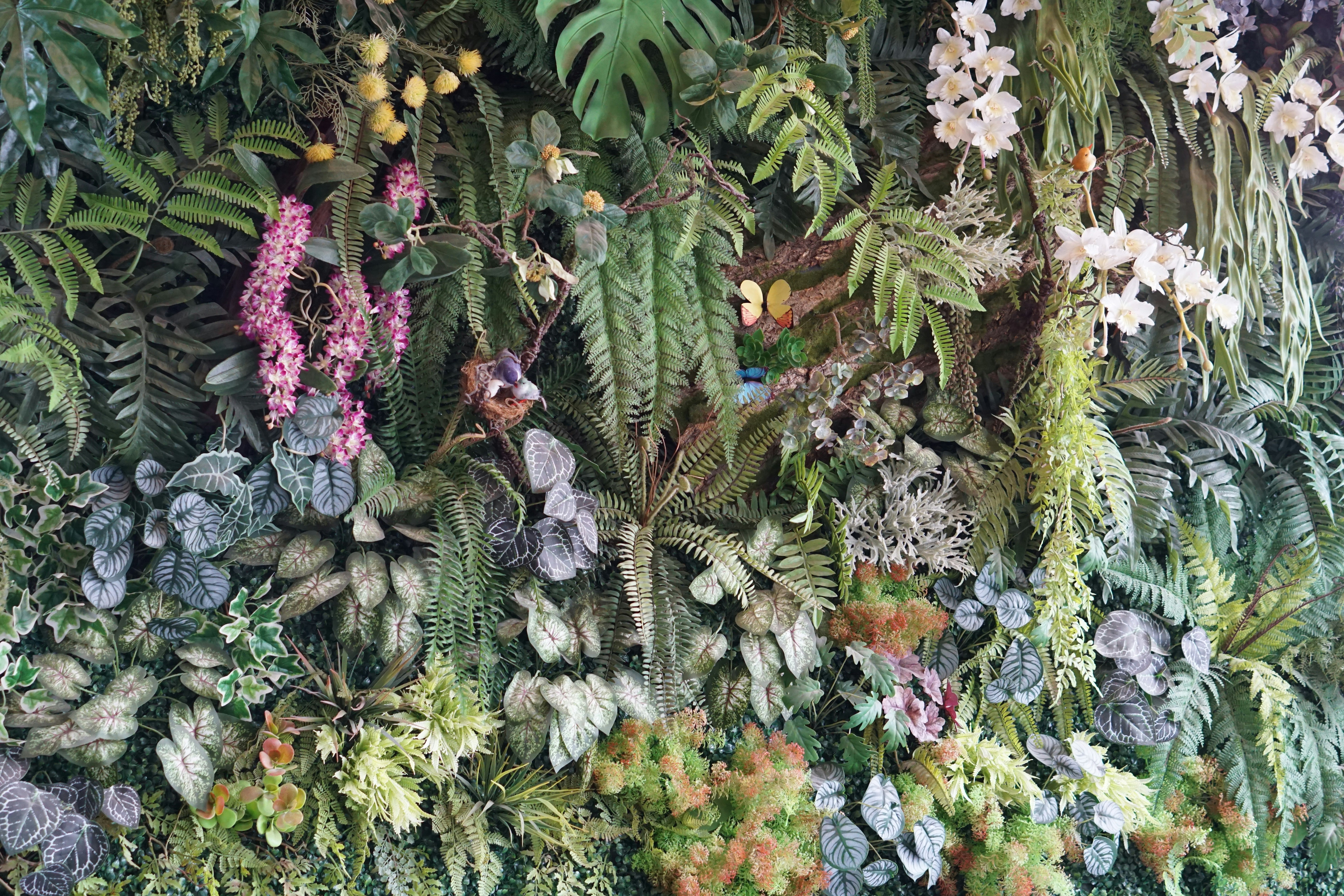 Verdant Tapestry: Ferns and Pink Spires on a Living Wall