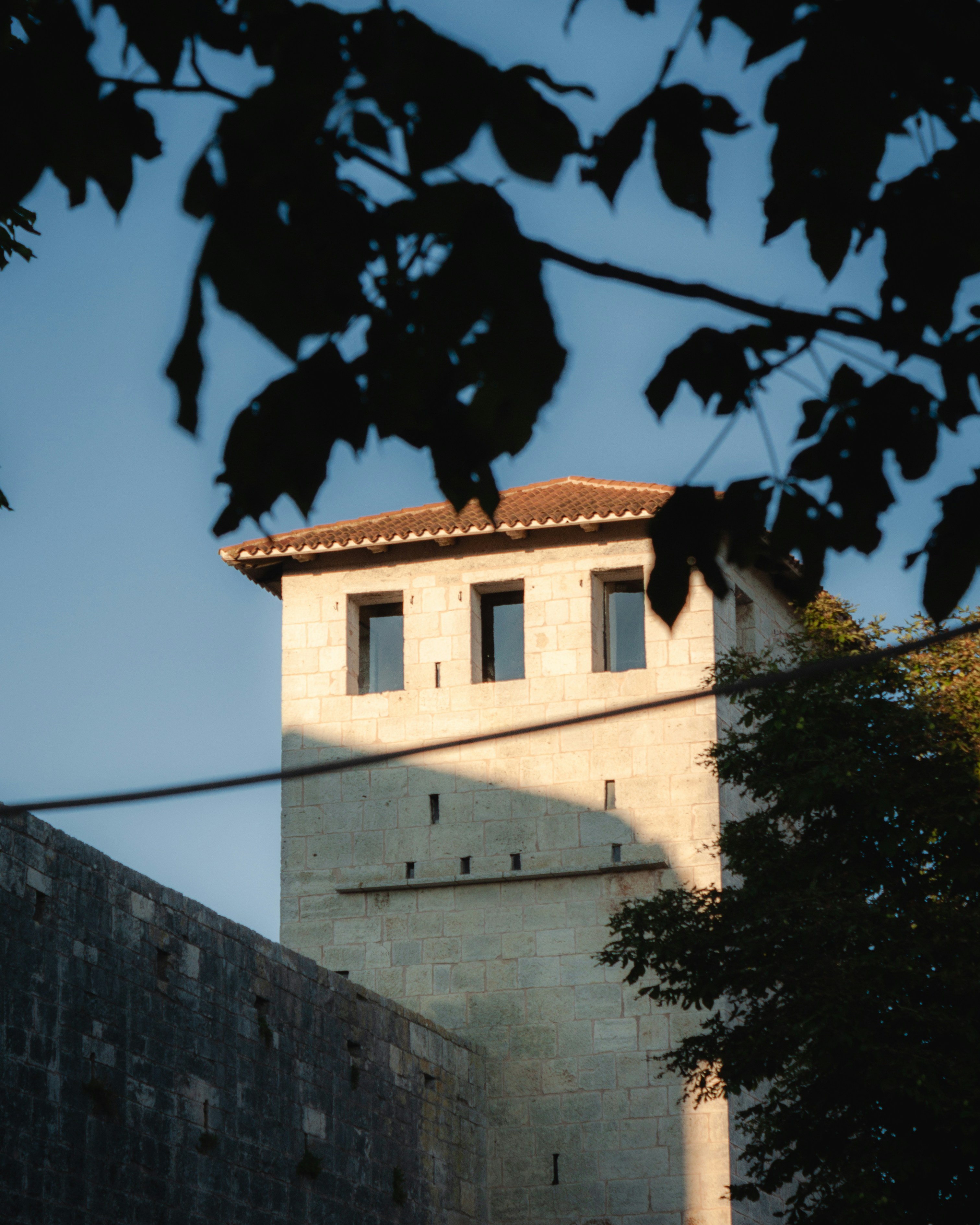 Golden Hour Bastion: Sunlit Tower Framed by Shadowed Foliage
