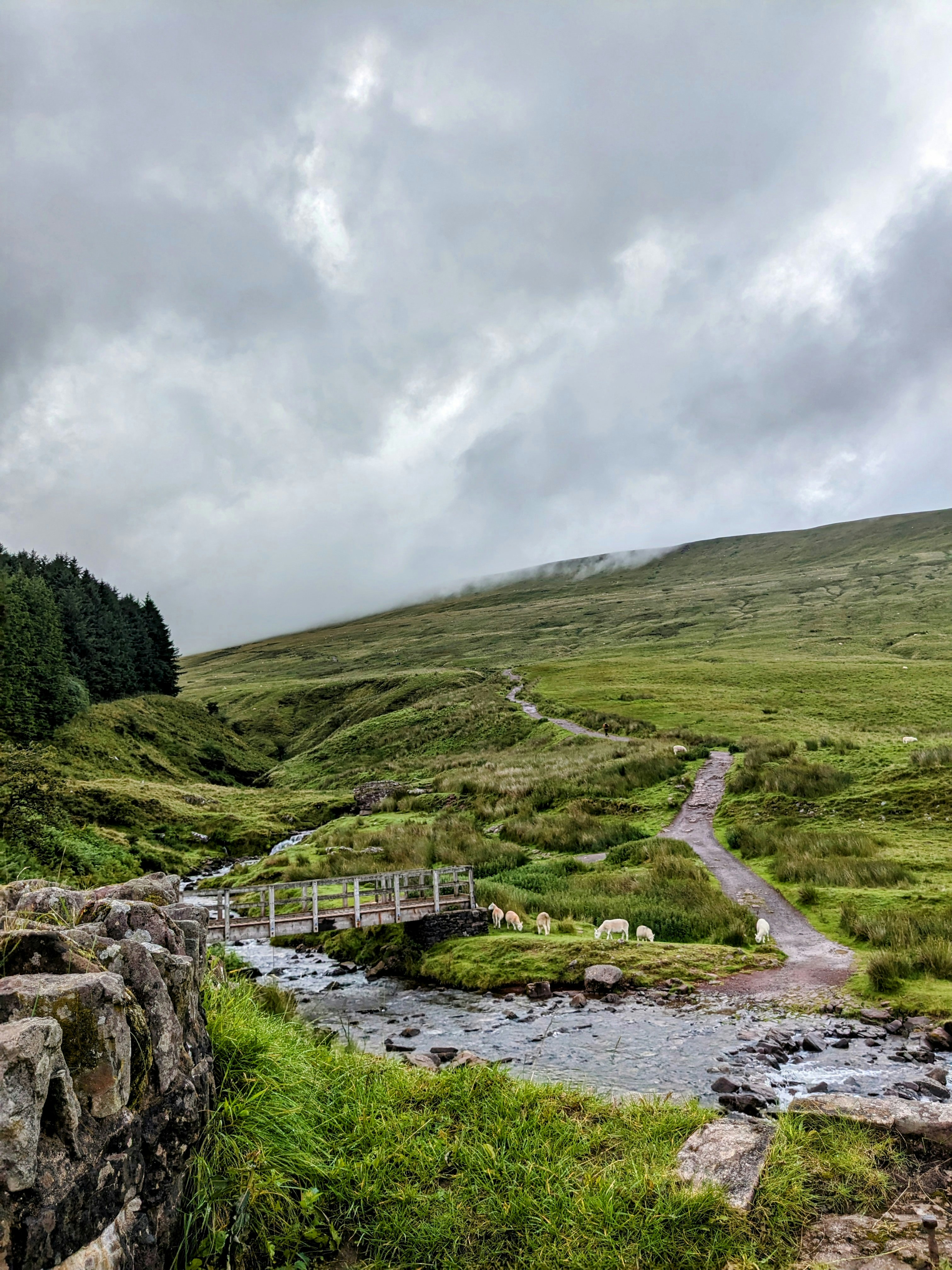 A stream running through a lush green hillside photo – Free Pen y fan ...
