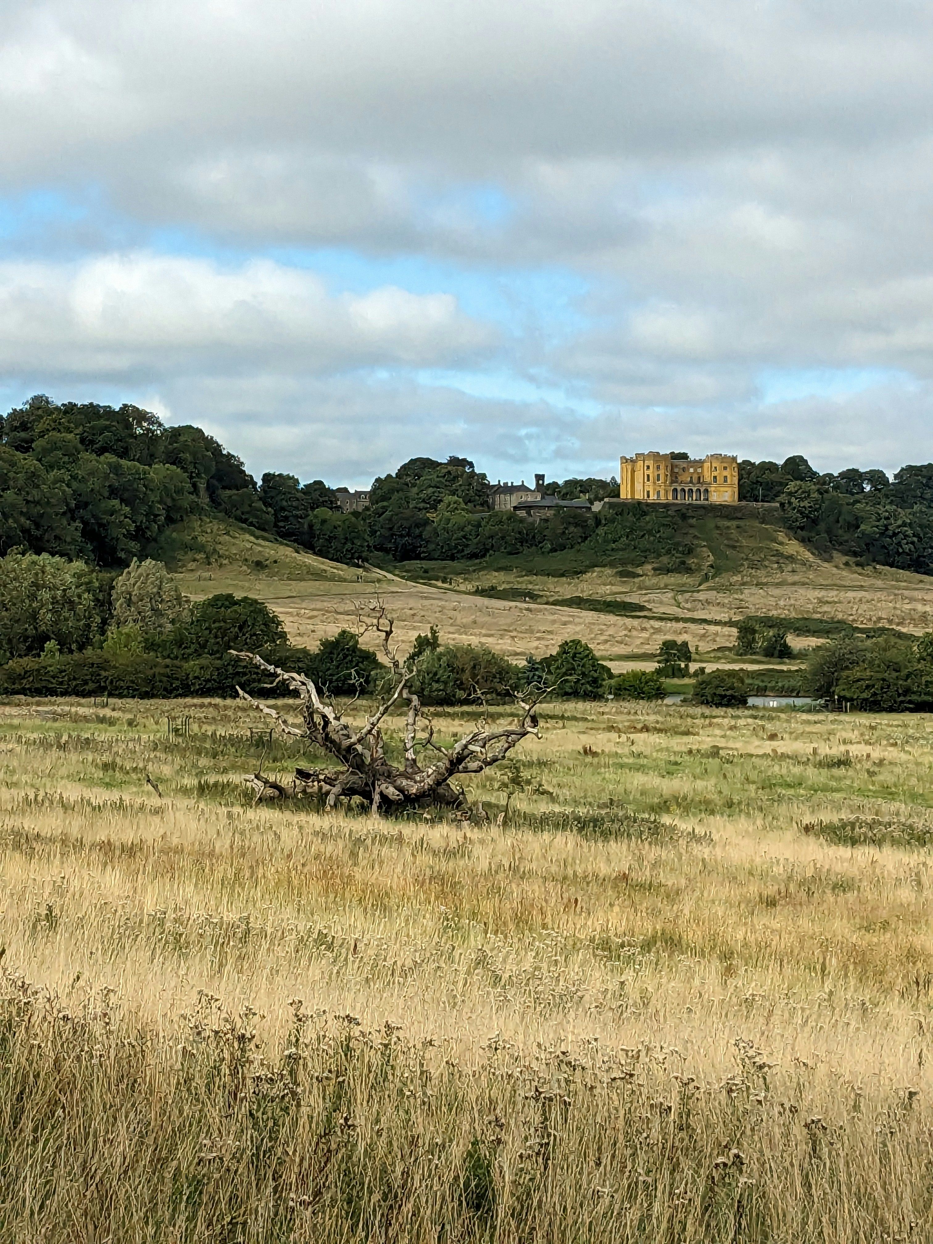Castle on the Crest: A Quiet Golden Field Under Open Skies