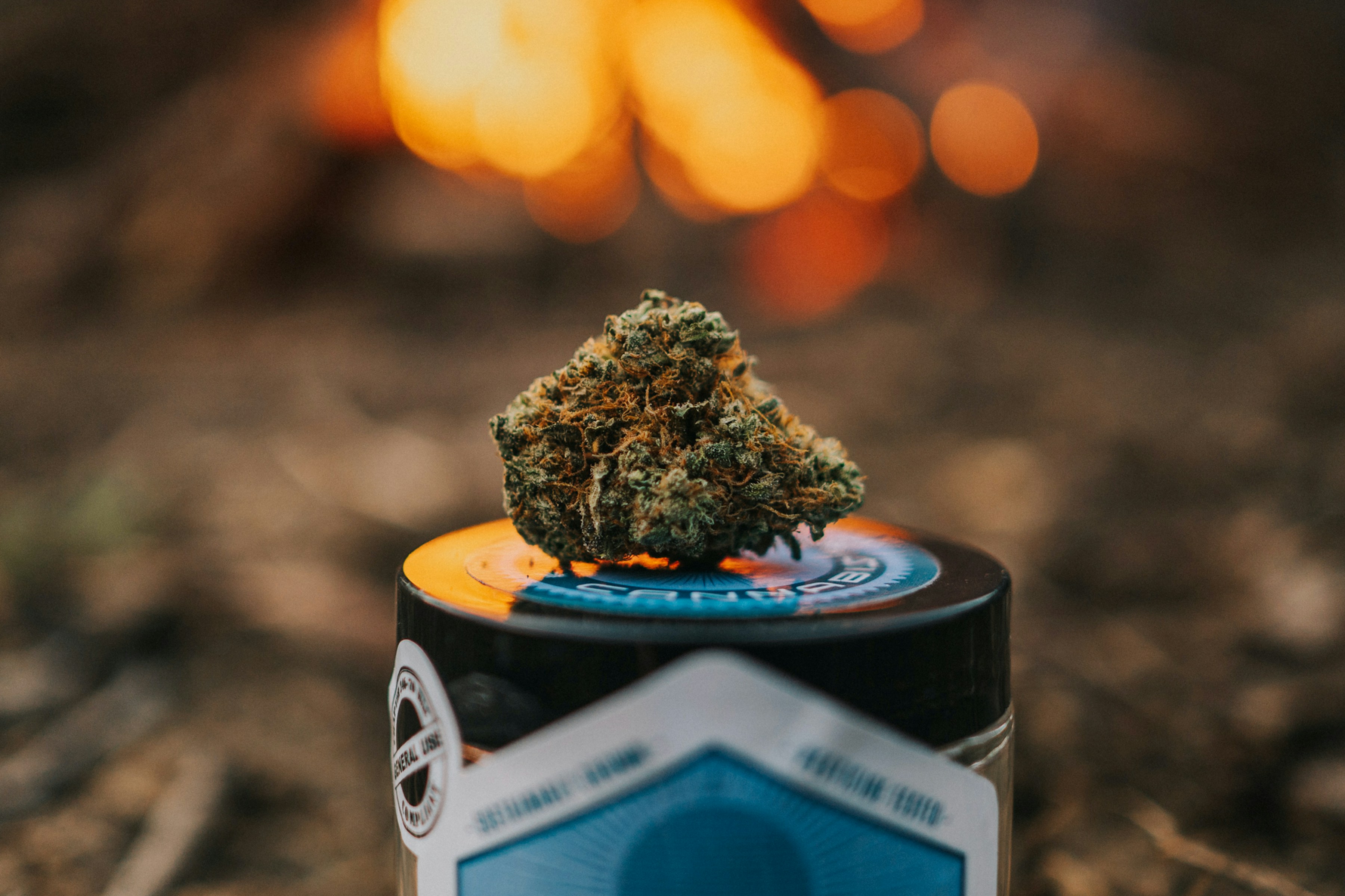 Imágenes de Cogollo De Hierba | Descarga imágenes gratuitas en Unsplash