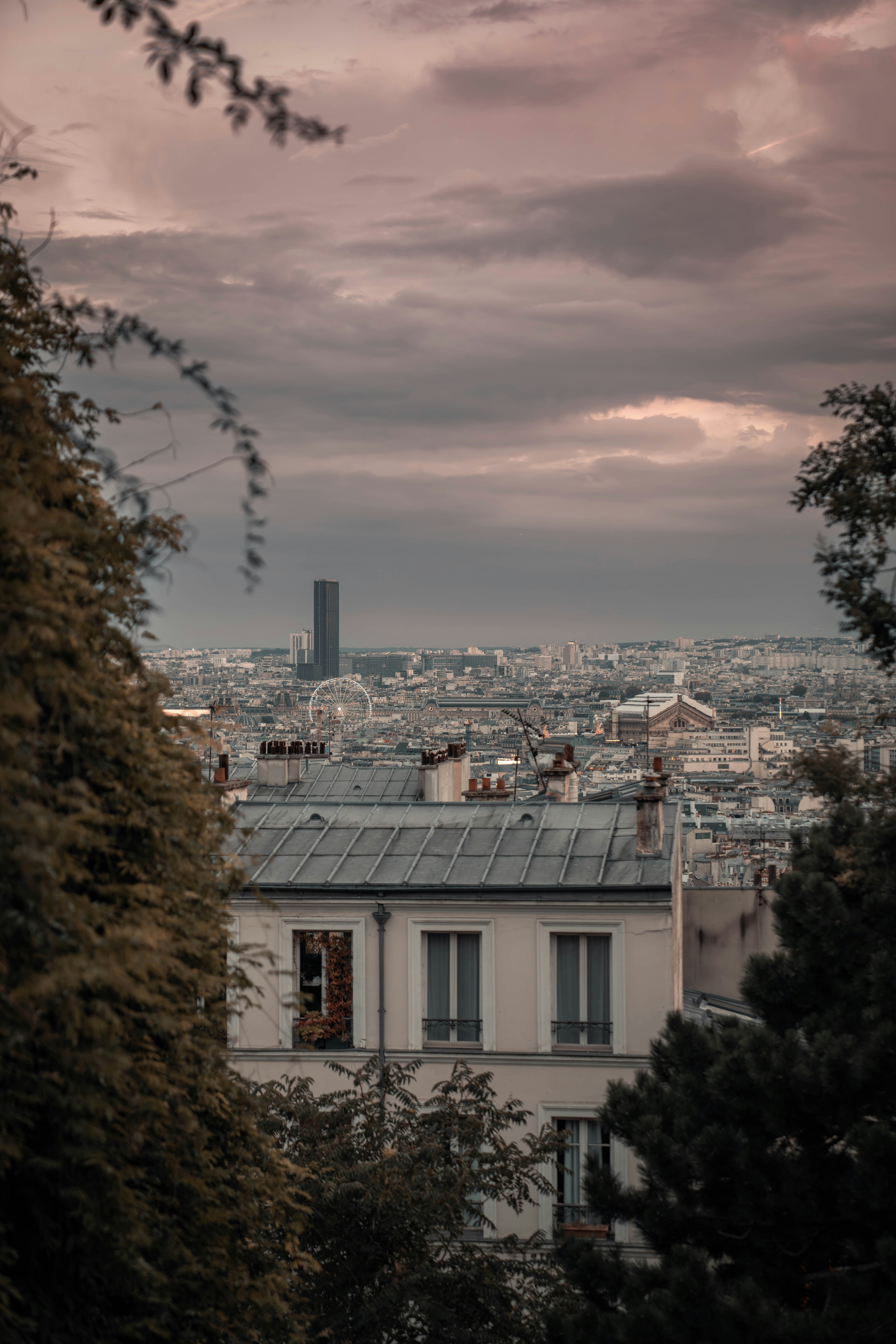 Twilight Horizon Framed by Rooftops and Trees