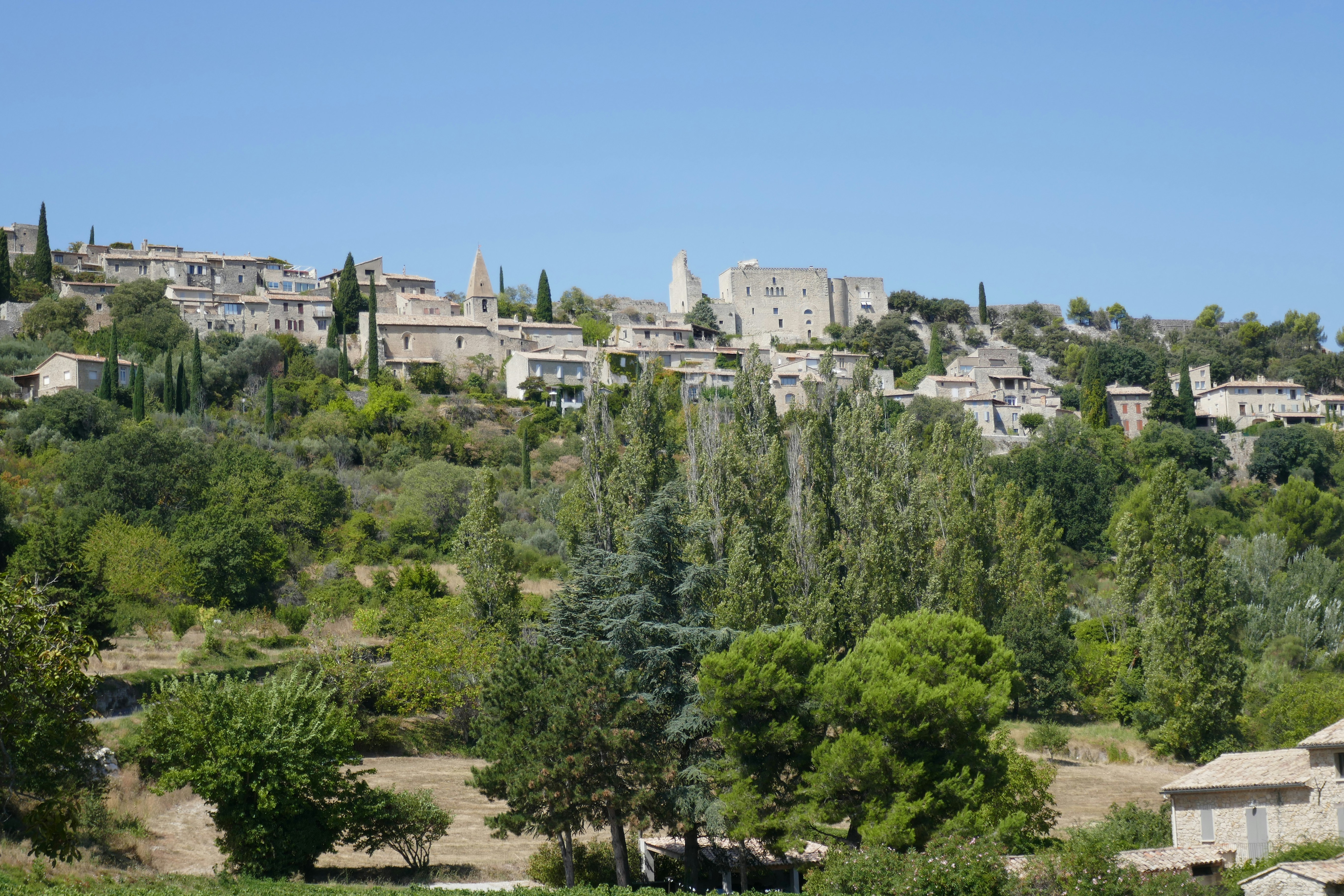 Un villaggio sulla cima di una collina circondato da alberi foto ...