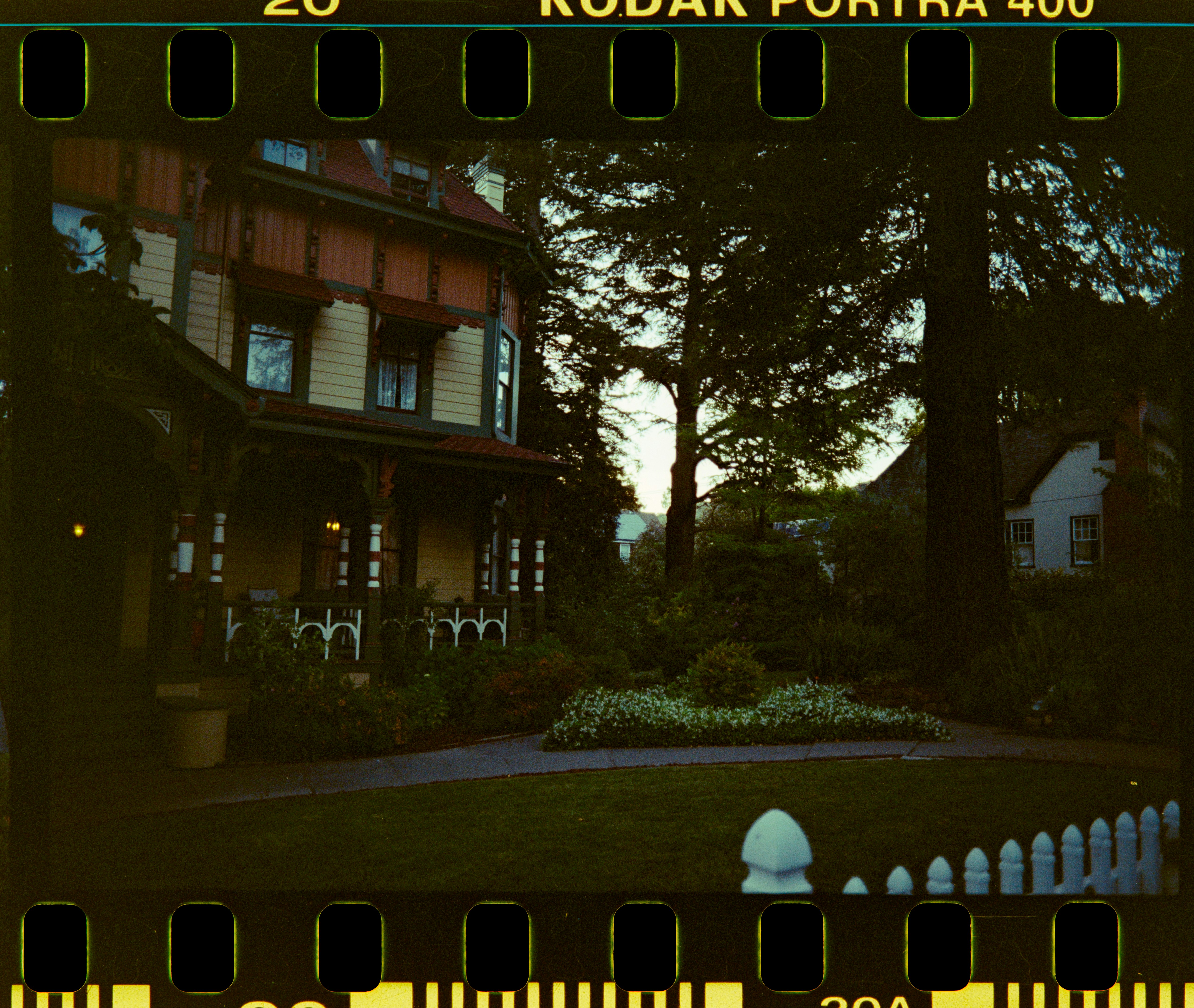 Dusk at the Cedar House: Porchlight and Garden Under Tall Pines