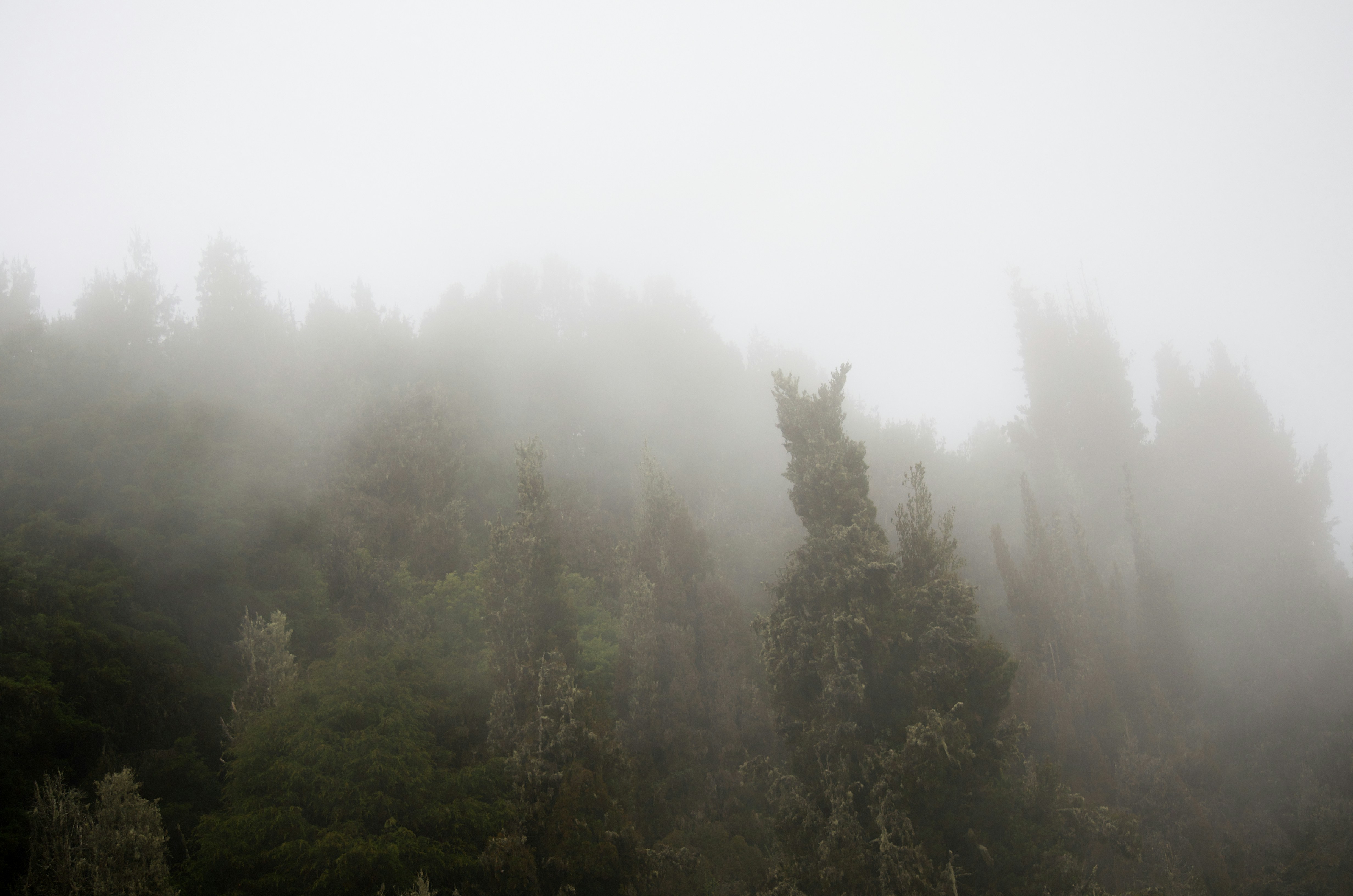 Weather Background Pictures | Download Free Images on Unsplash