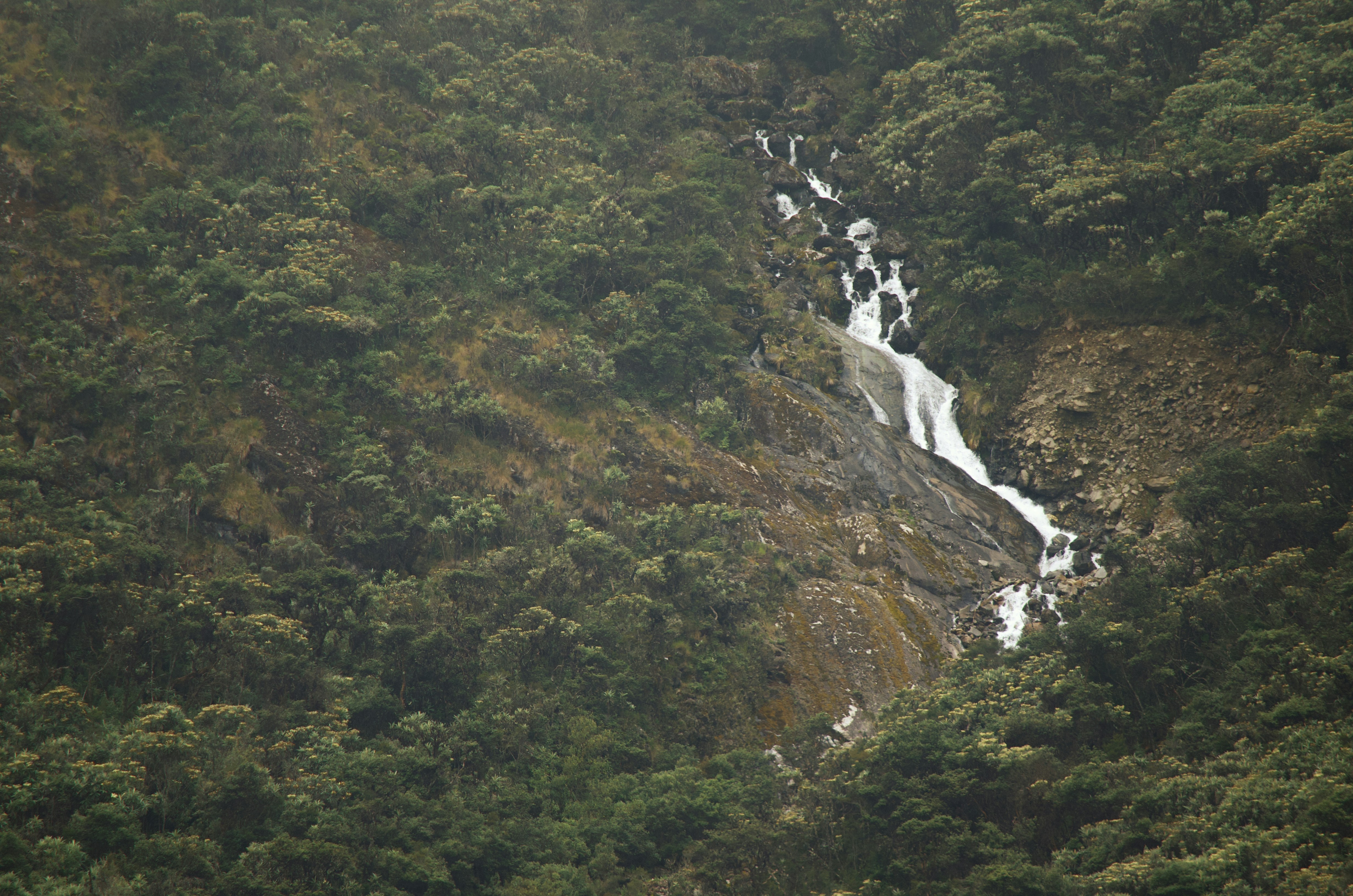 A waterfall in the middle of a forest photo – Free Mérida Image on Unsplash