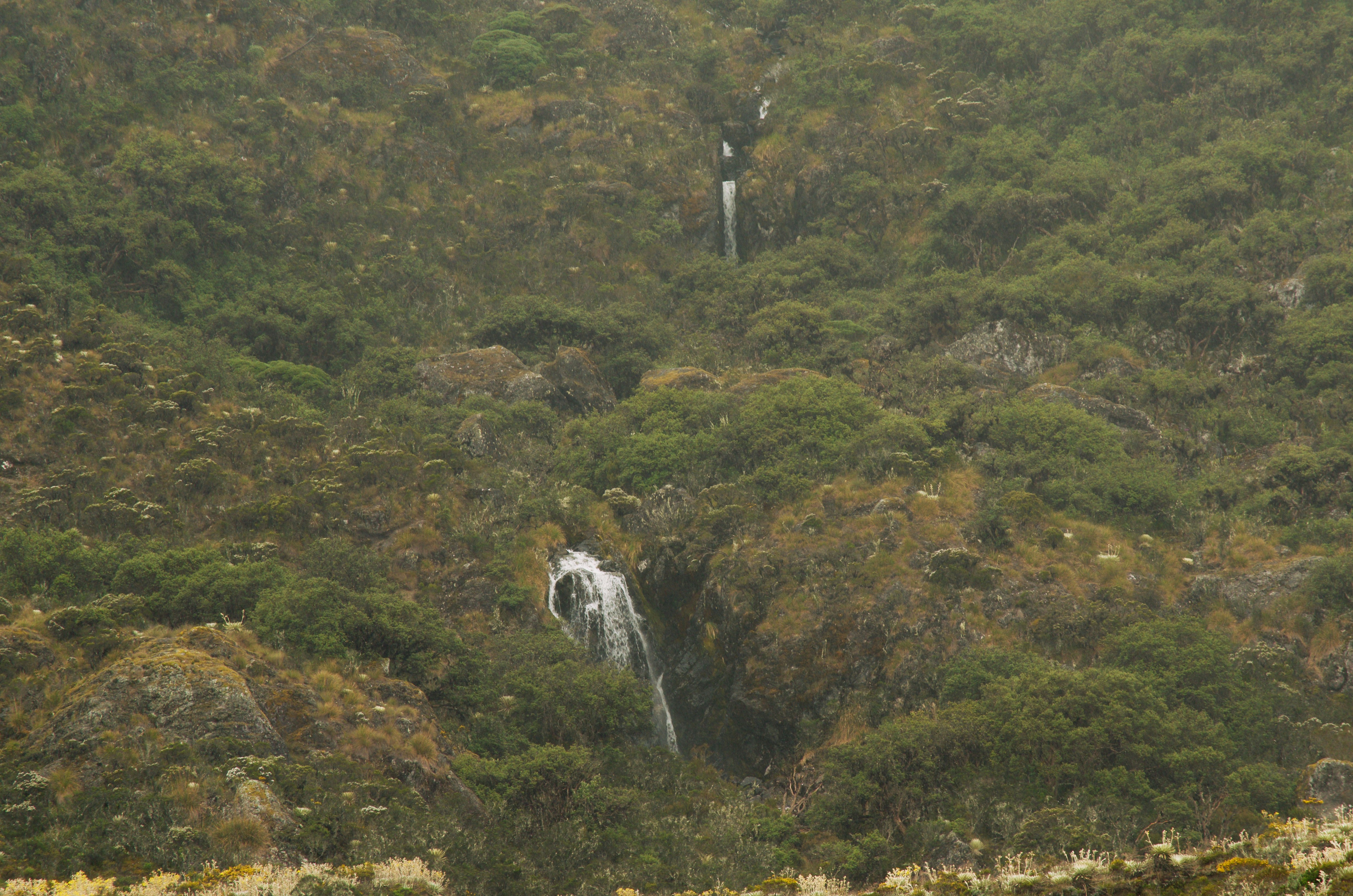 Hidden Cascade Through Rugged Green Scrub