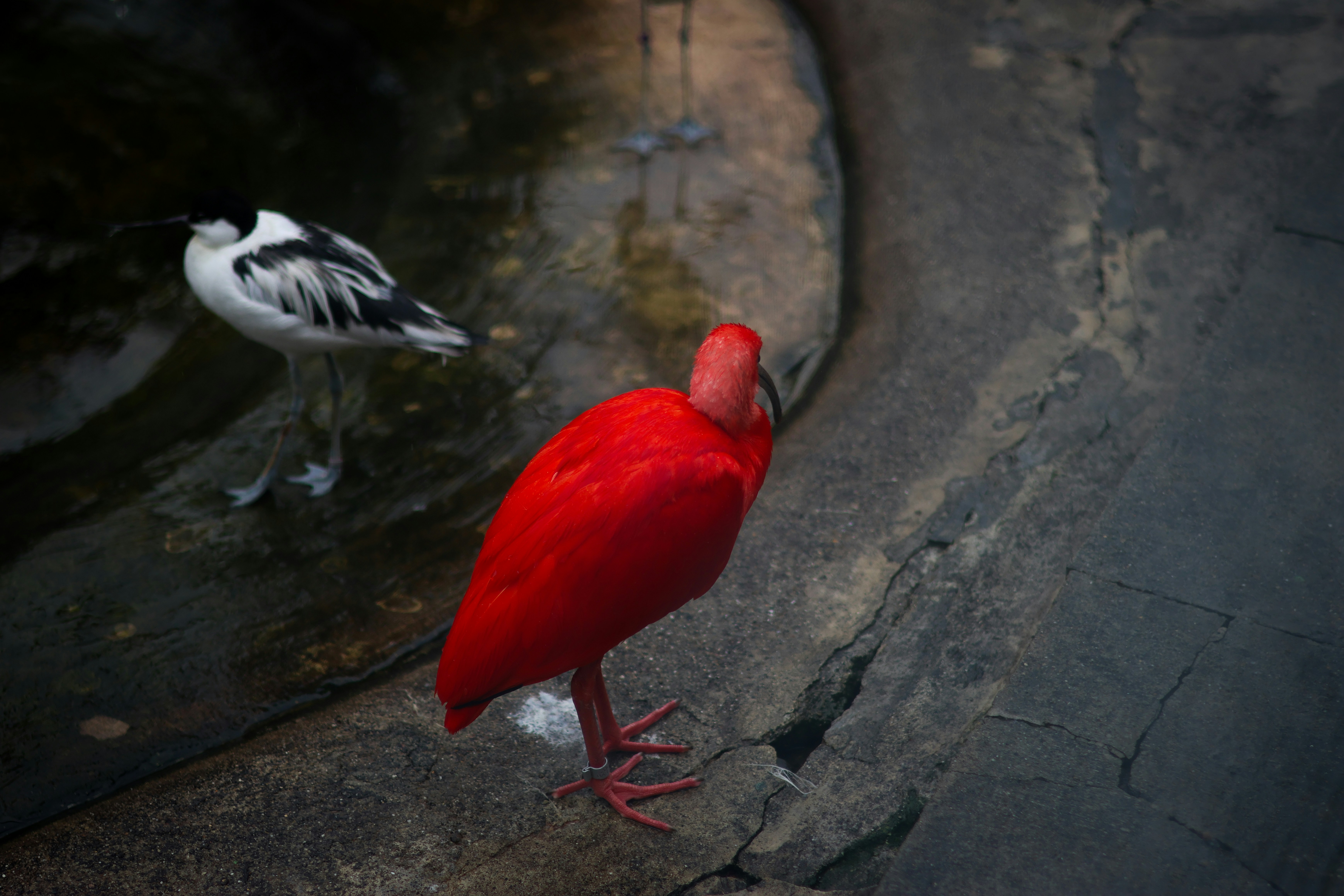 Photo by Fynn Westerath with Canon EOS R7