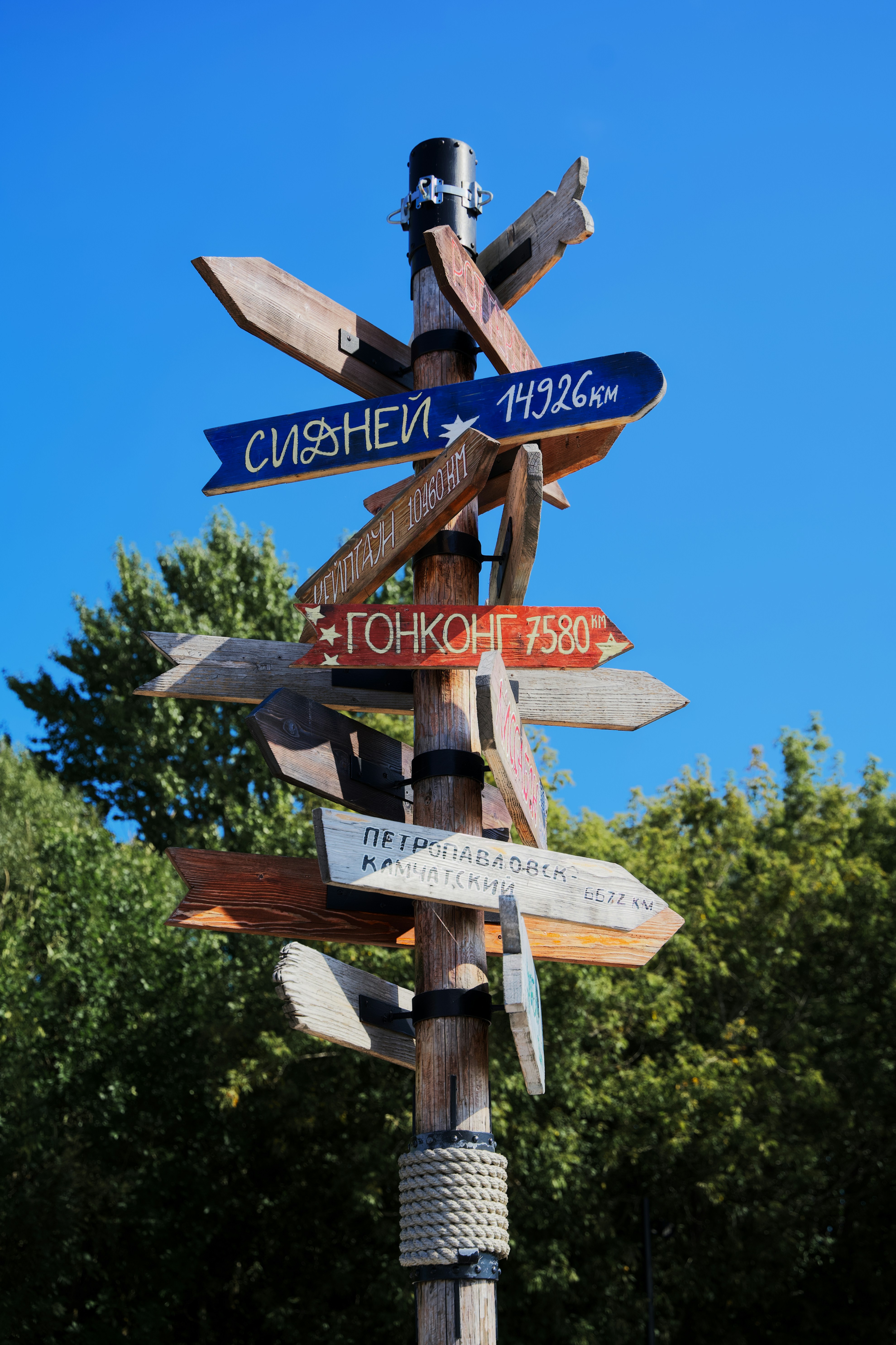 Wooden signpost displaying distances to various global cities, set against a clear blue sky. The vibrant colors of the signs contrast with the lush green backdrop.