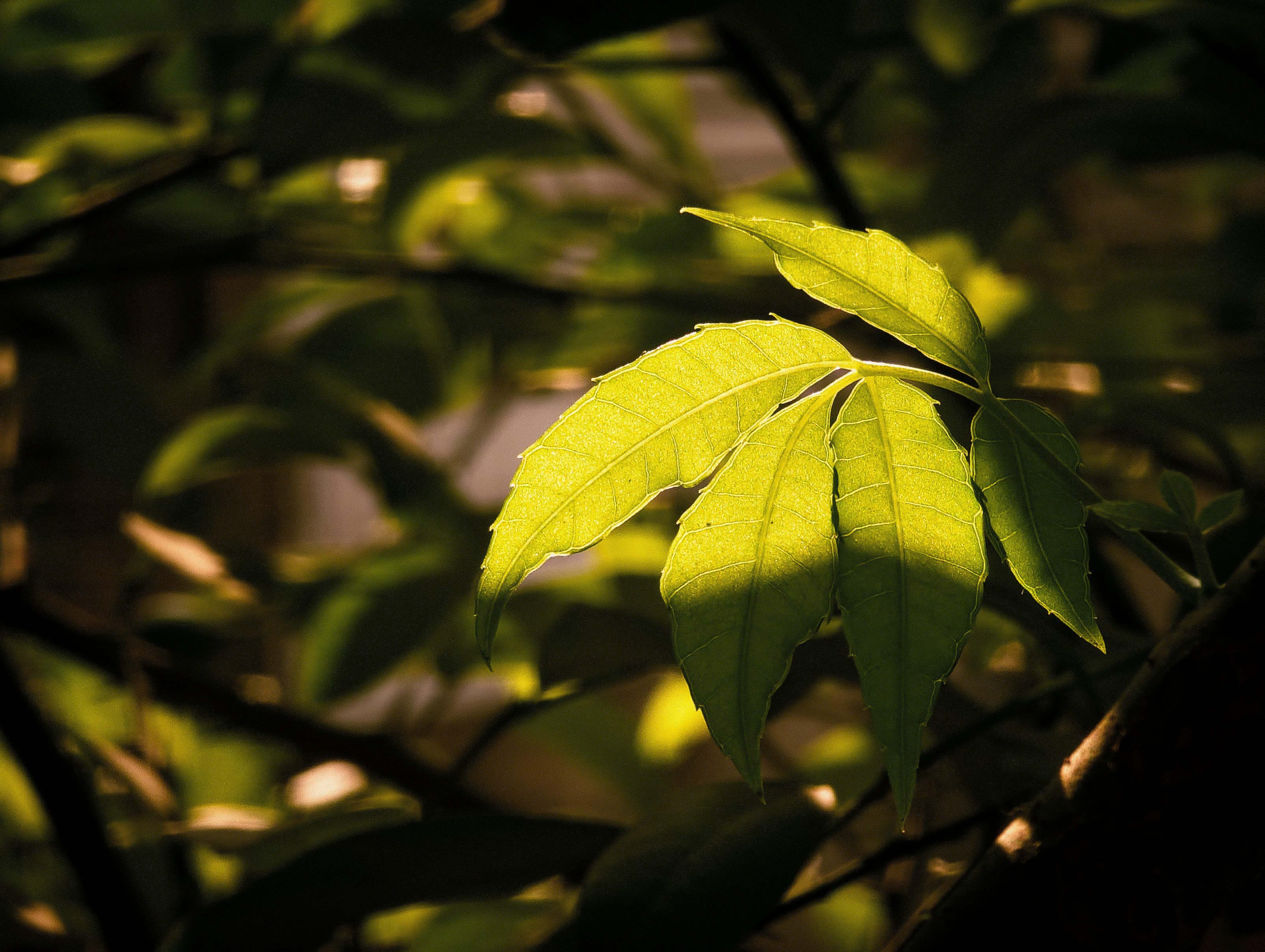 Underneath the sunshine