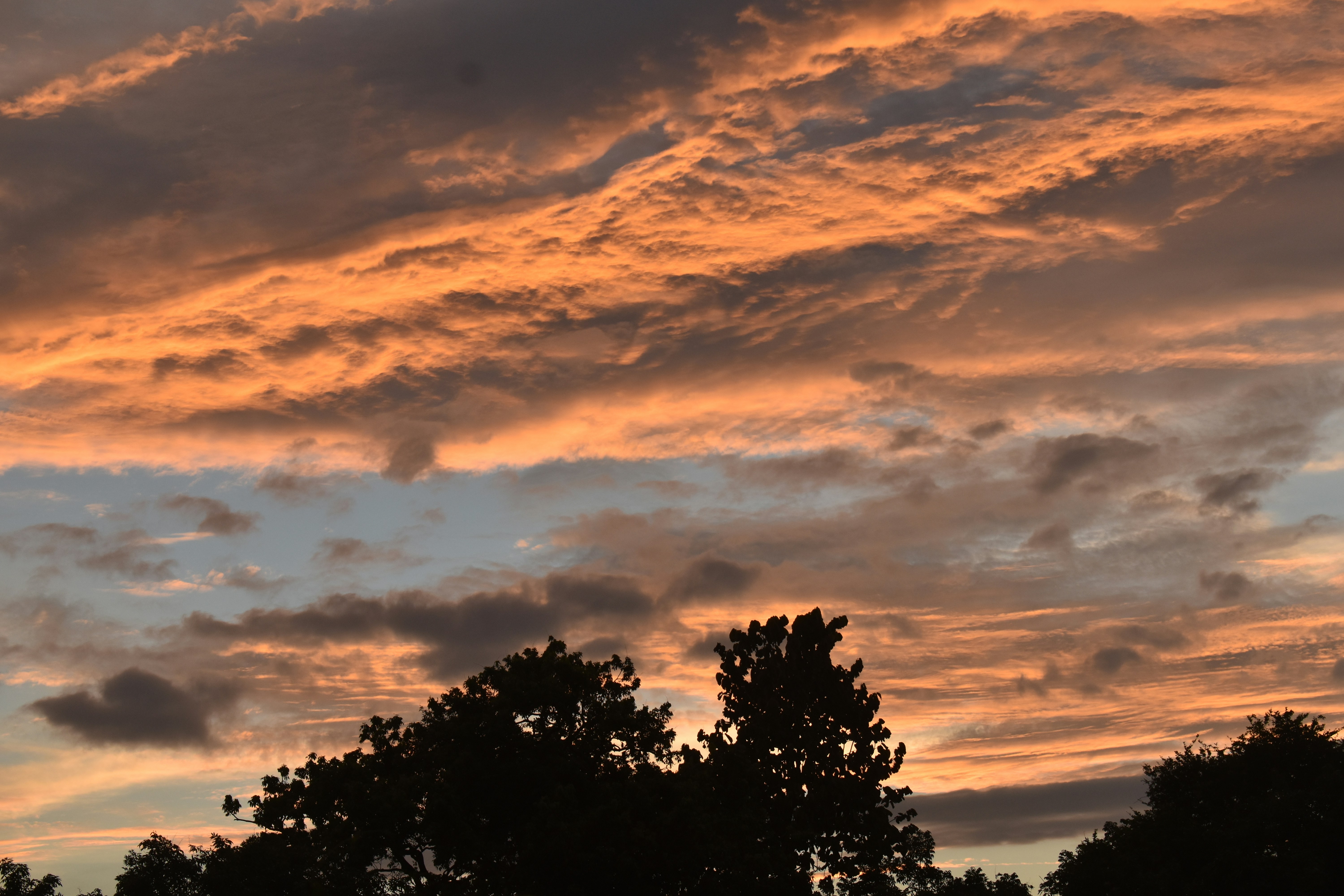 Rakibul Islam (@mjrakibulislam3) | Unsplash Photo Community