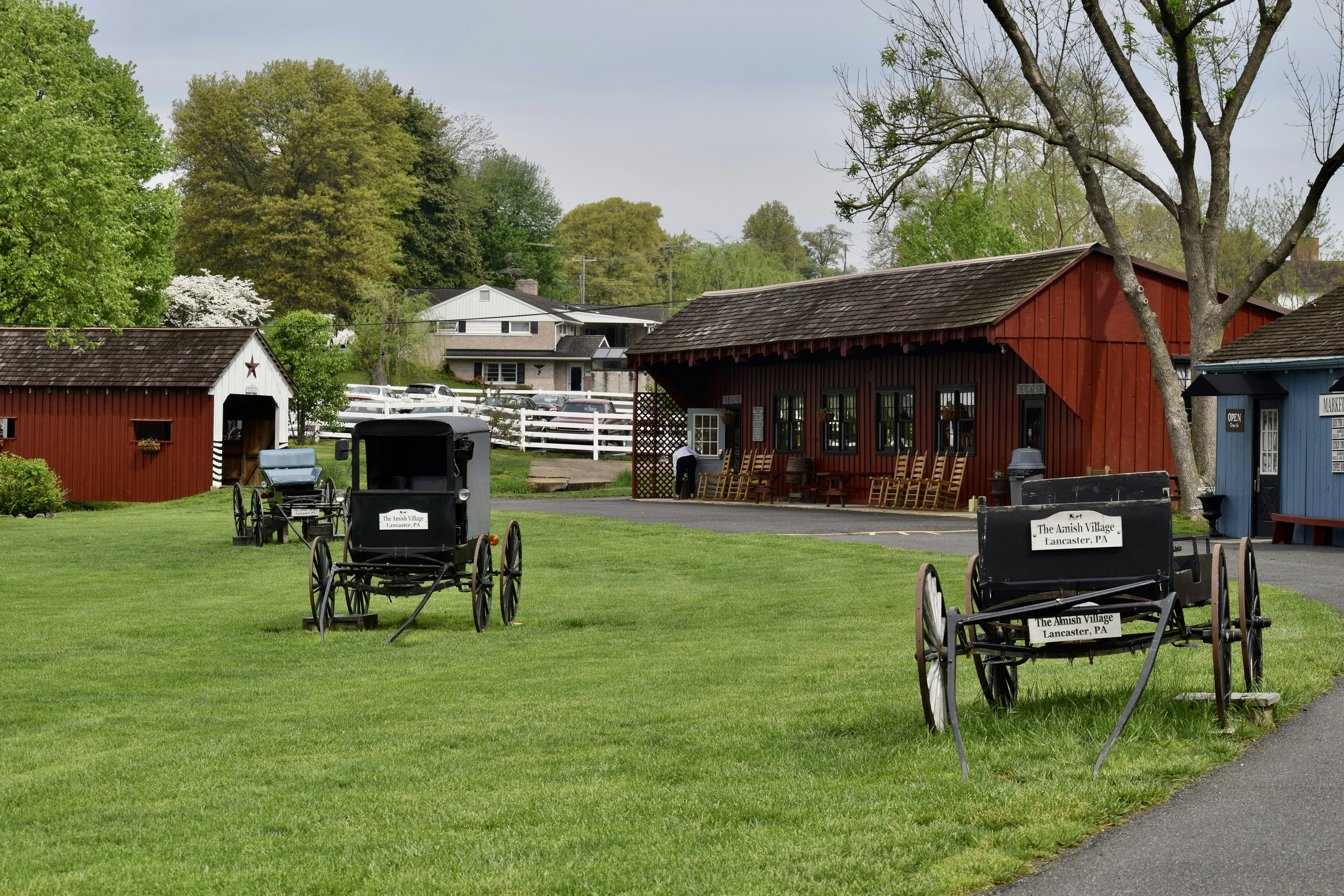 Amish Pictures | Download Free Images on Unsplash