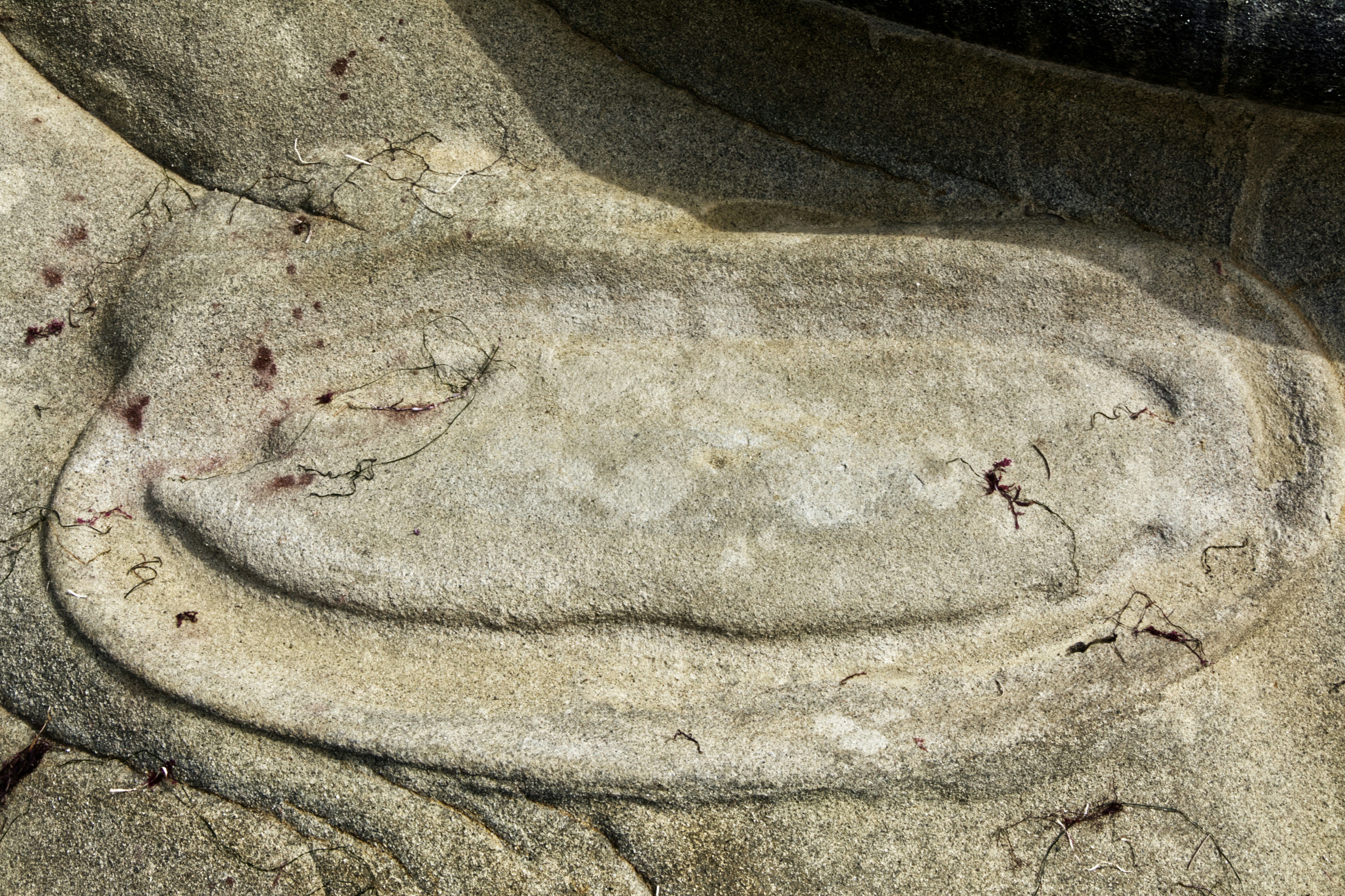 Oval Sediment: Close-Up of Weathered Stone with a Quiet Groove