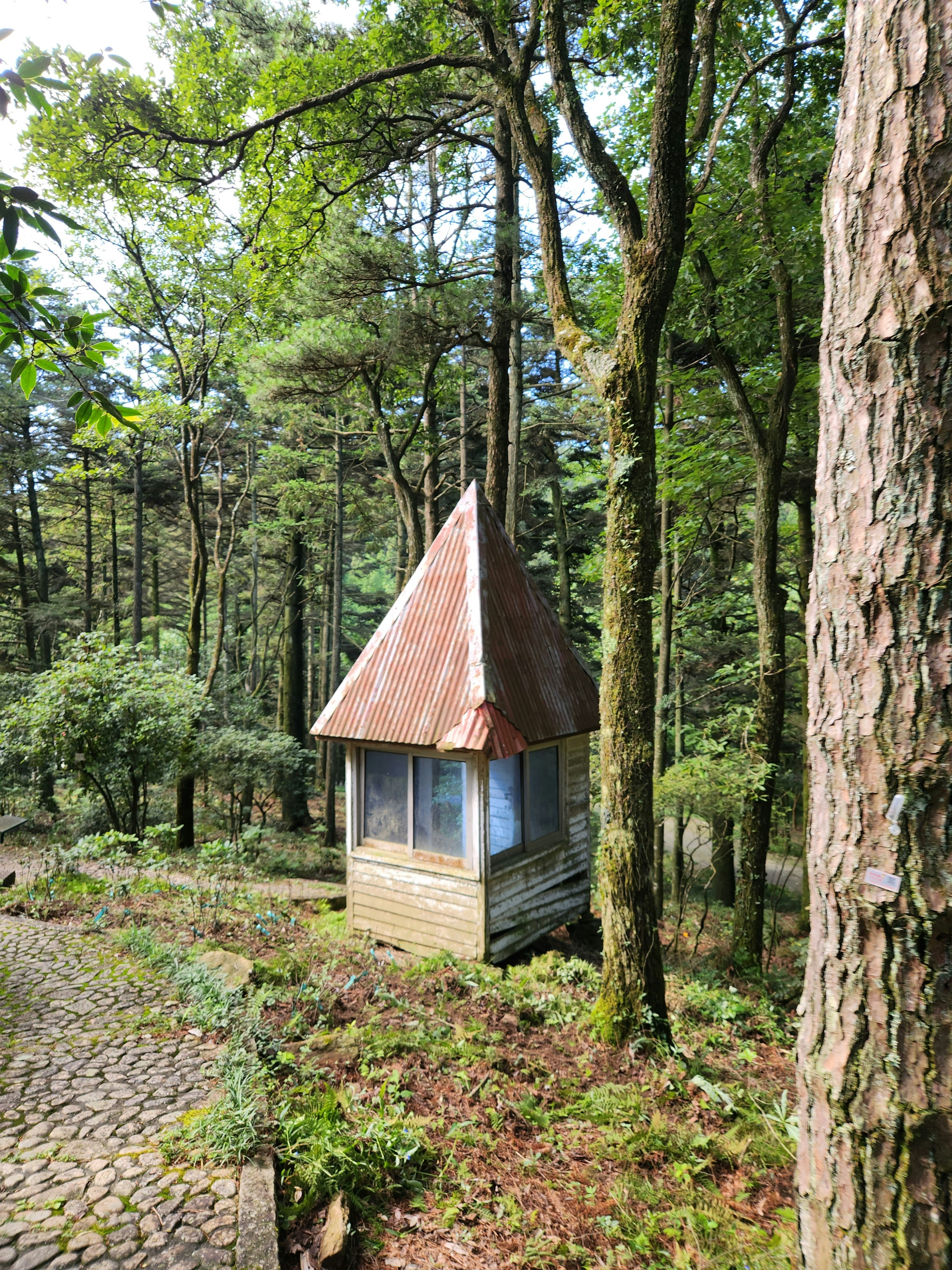 A small wooden hut with a rusted, triangular roof sits along a cobblestone path in a dense forest. Sunlight threads through tall trees, illuminating the scene with a tranquil woodland glow.