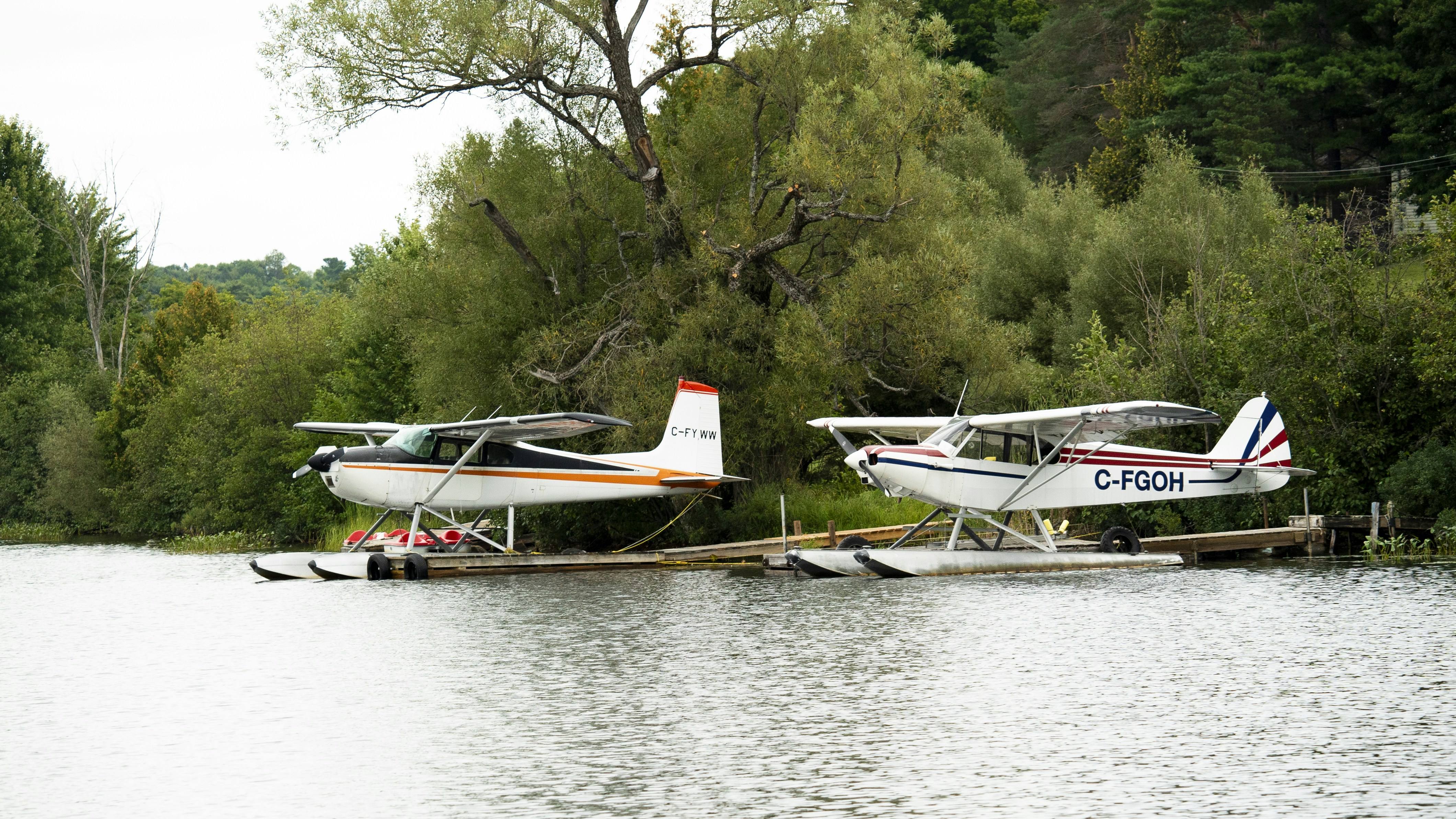 Twin Seaplanes Moored by a Quiet Lakeside Dock