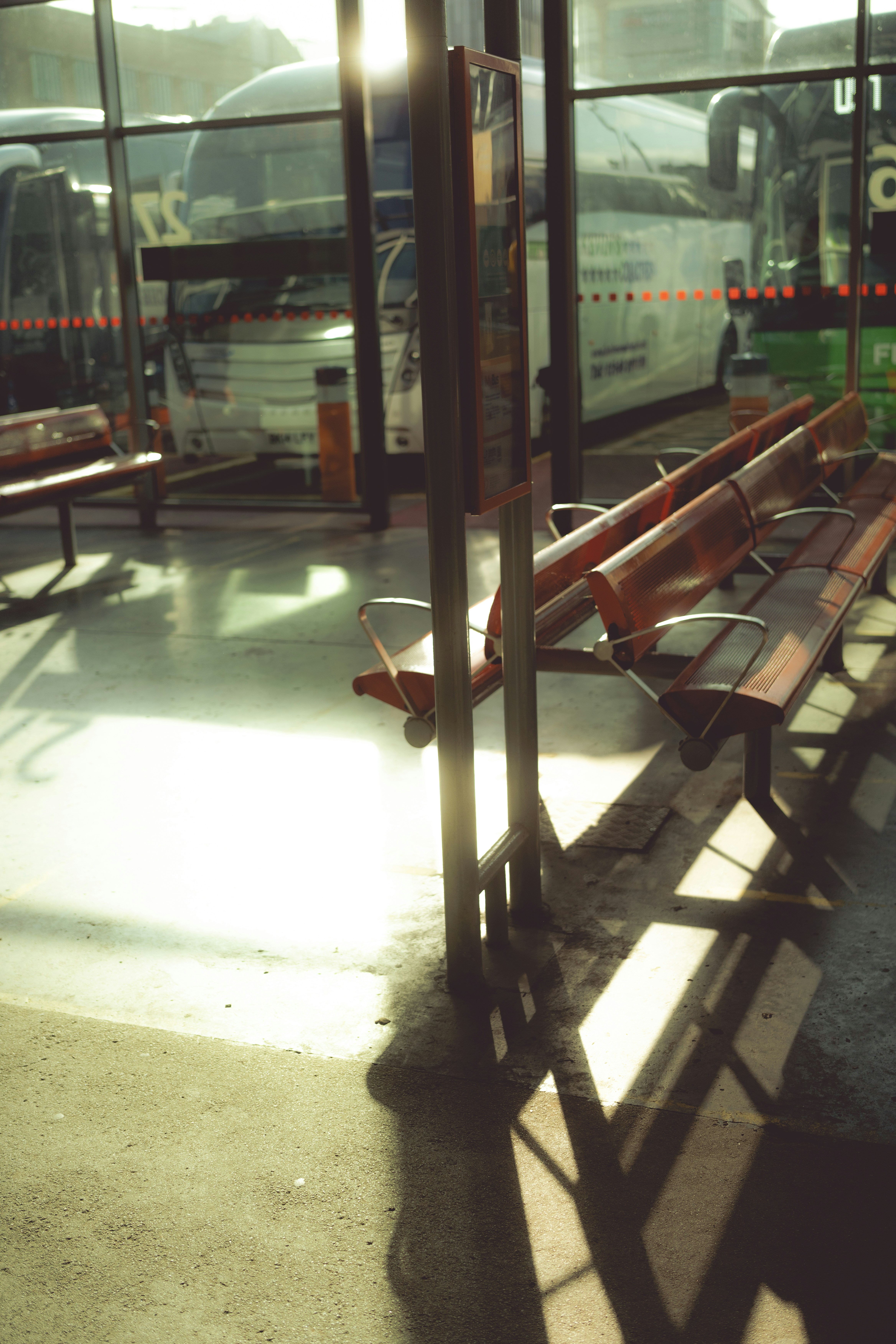 Sunlit Geometry at a Quiet Bus Stop