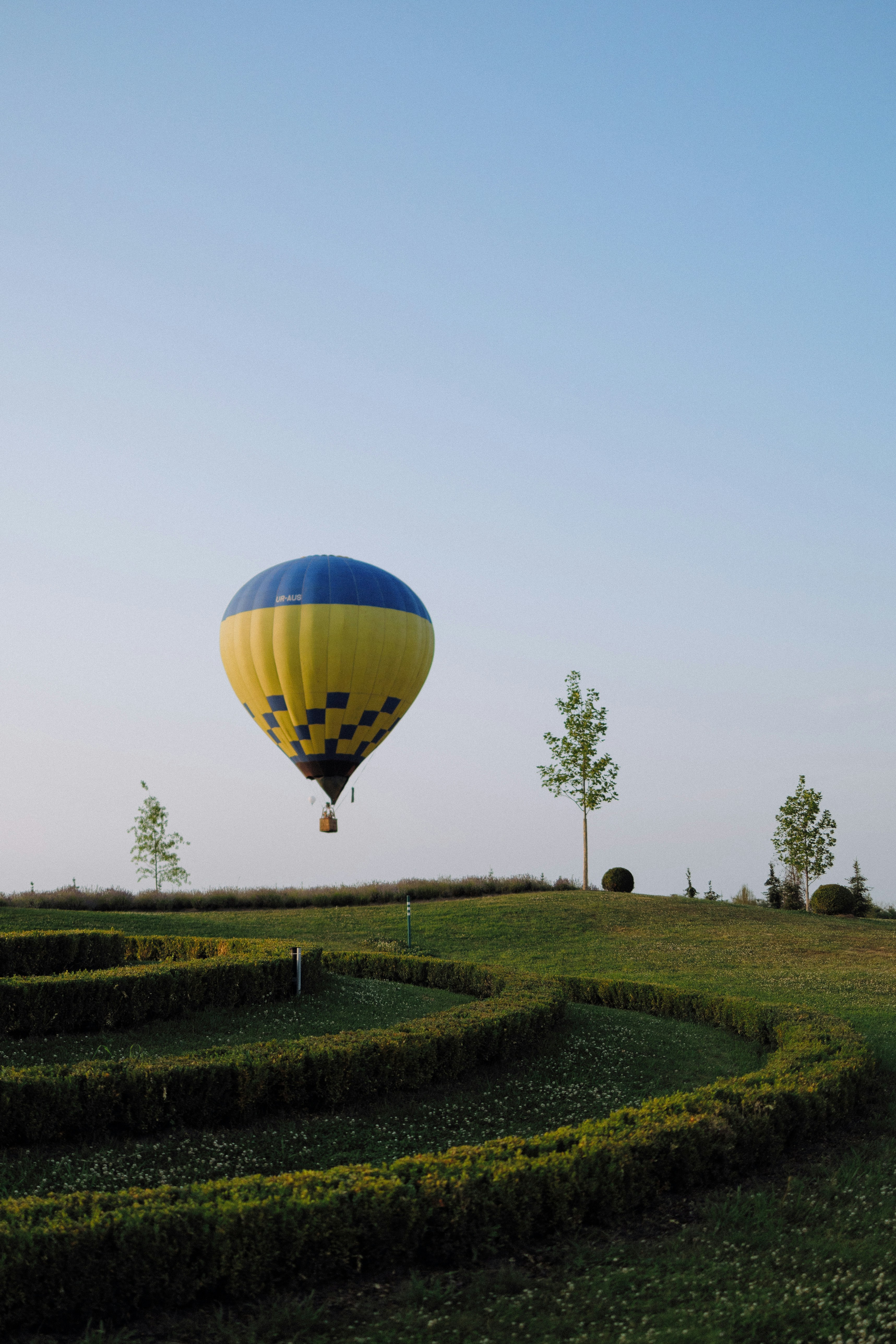 Foto Un globo aerostático azul y amarillo volando sobre un campo verde ...