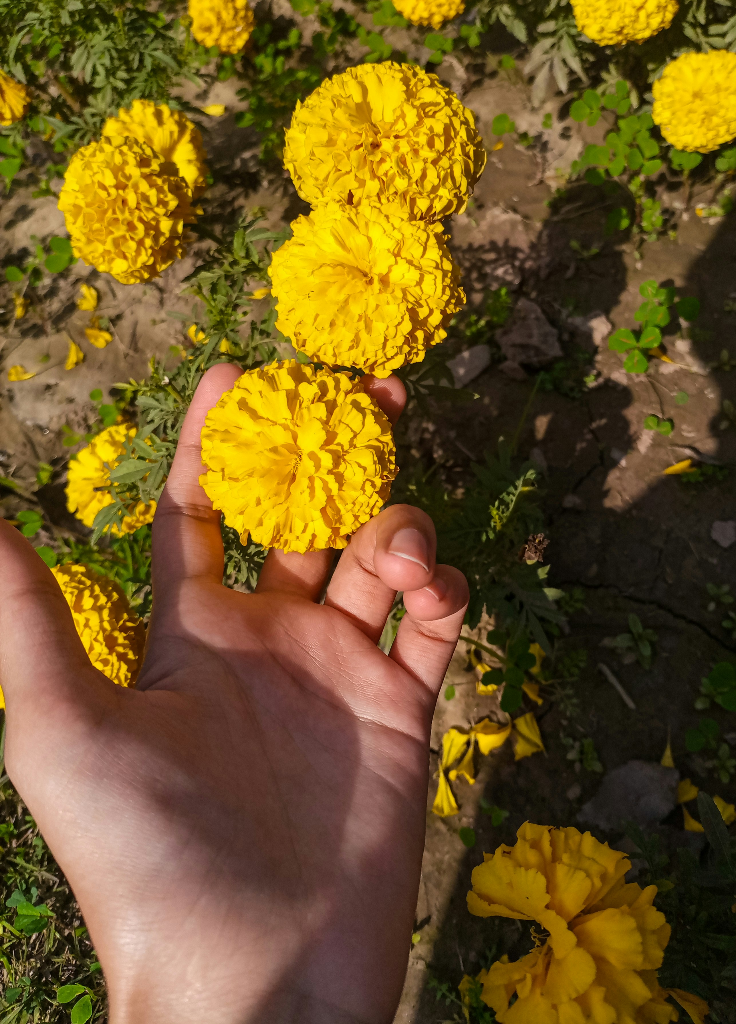 Ayesha Hashmi (@ayeshah_1) | Unsplash Photo Community