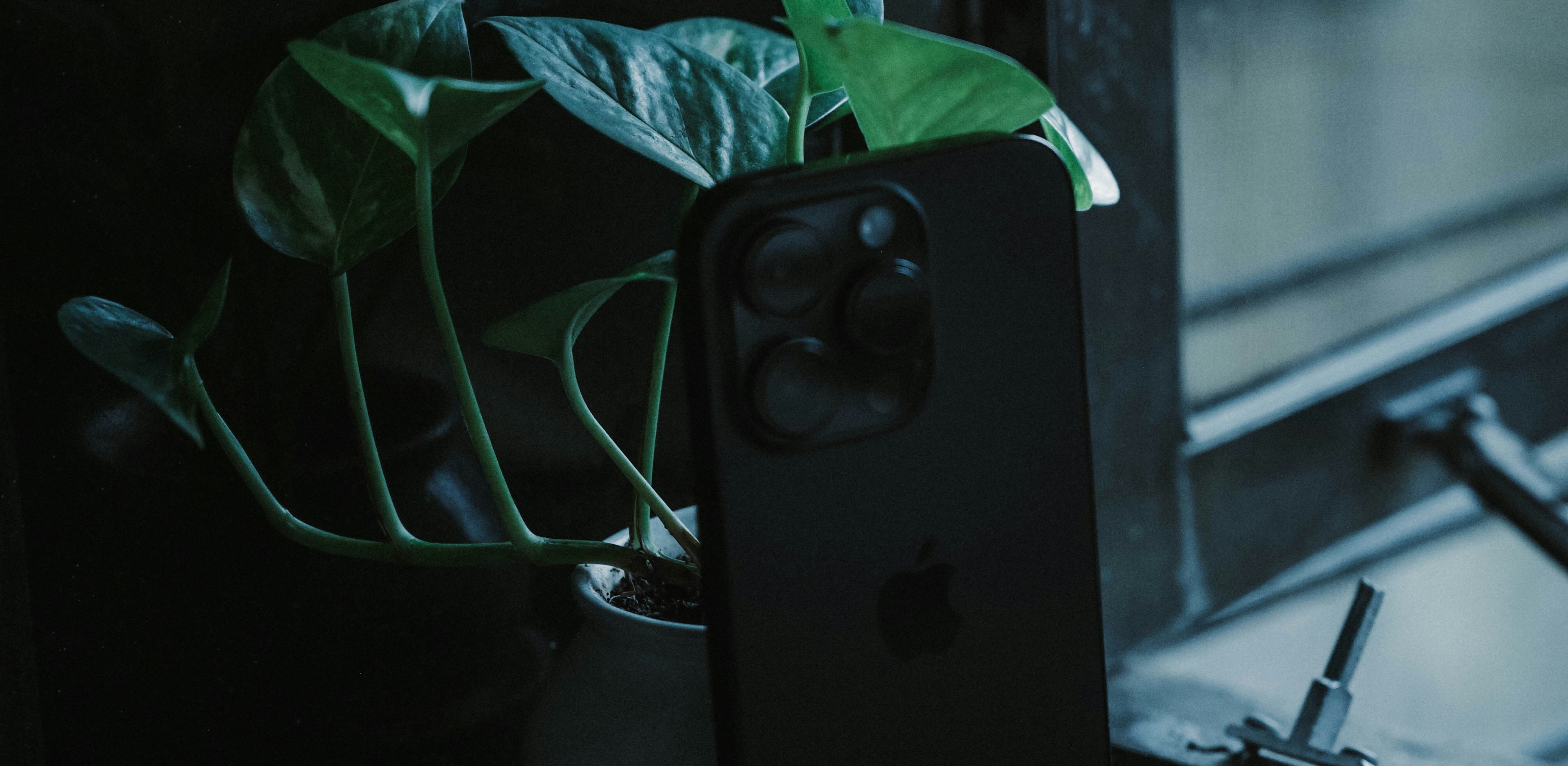 Nocturnal Lean: Matte Black iPhone Among Ivy by the Window