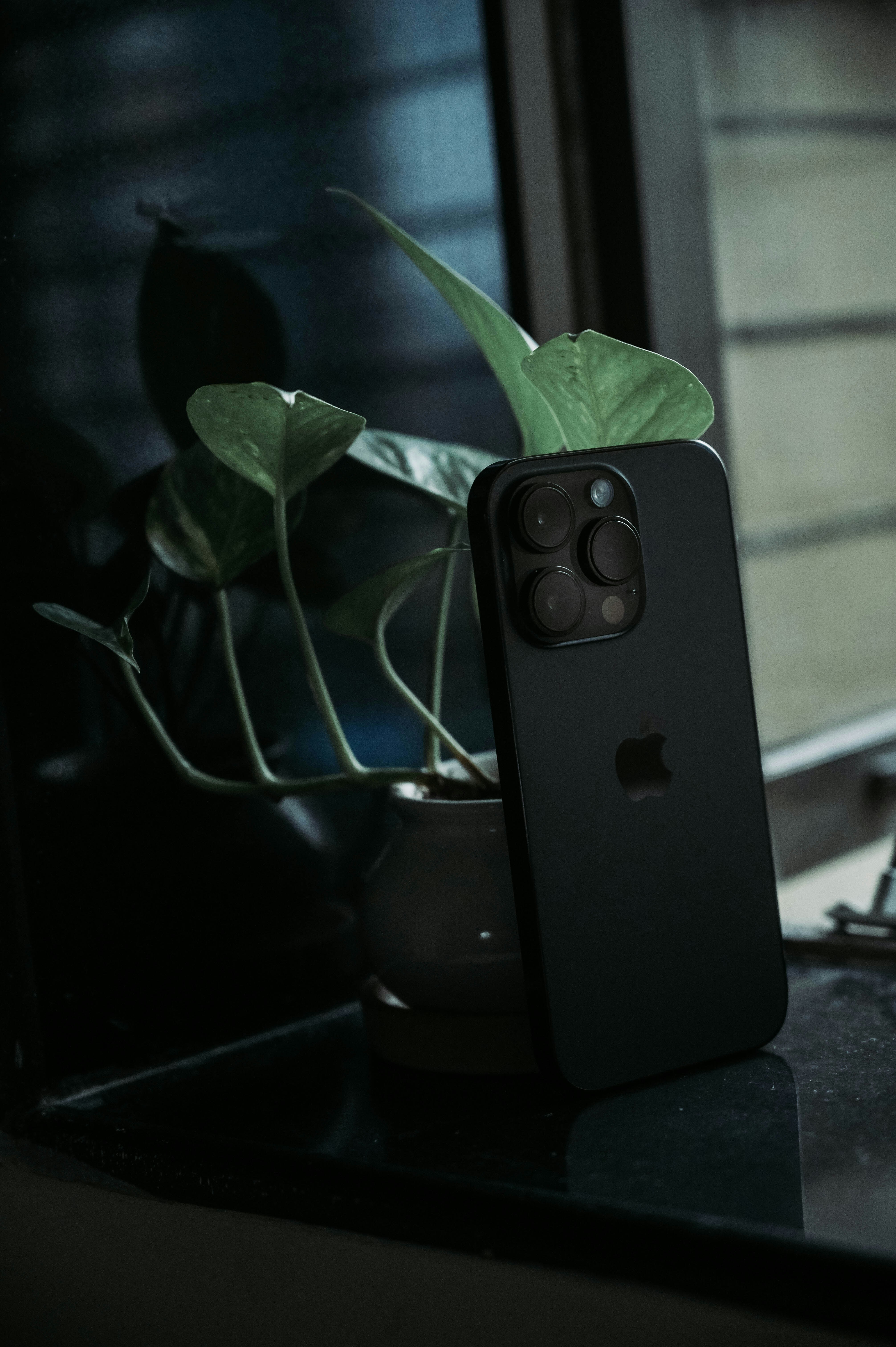 Photo by Chirayu Patel with Nikon Z6