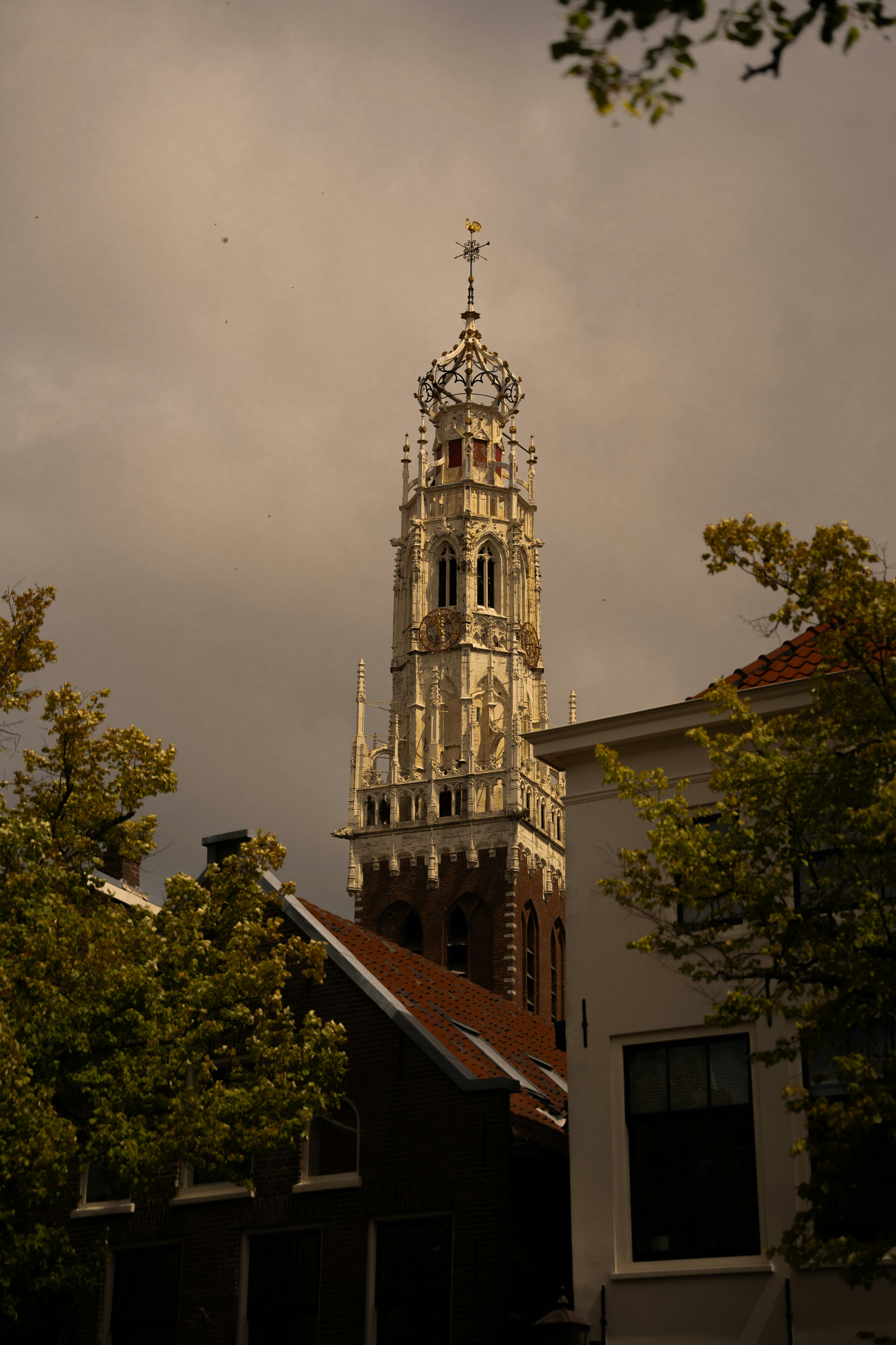 Lacework Spire Surging Above Red Rooftops and Foliage