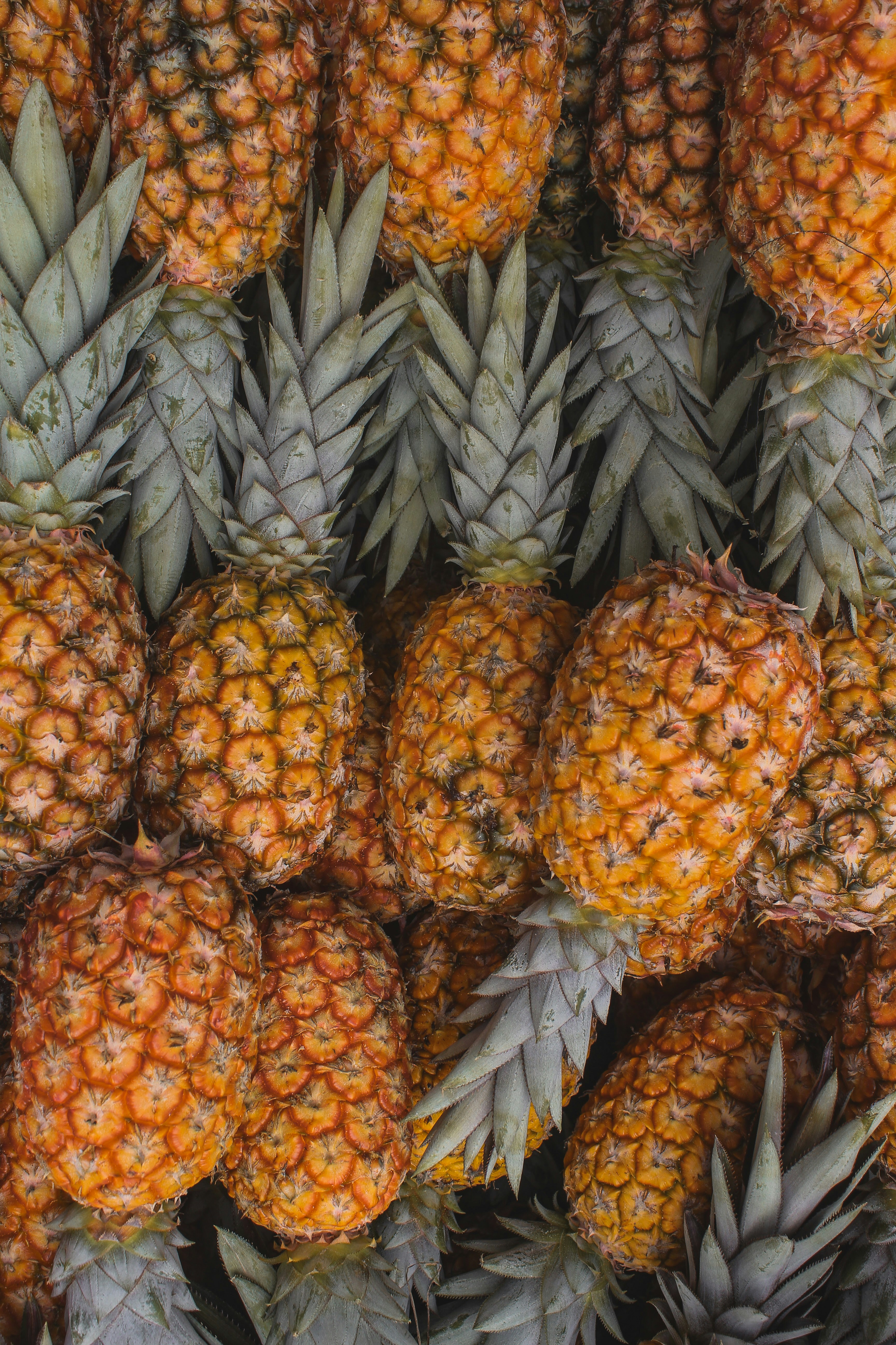 A pile of pineapples sitting next to each other photo – Free Produce ...