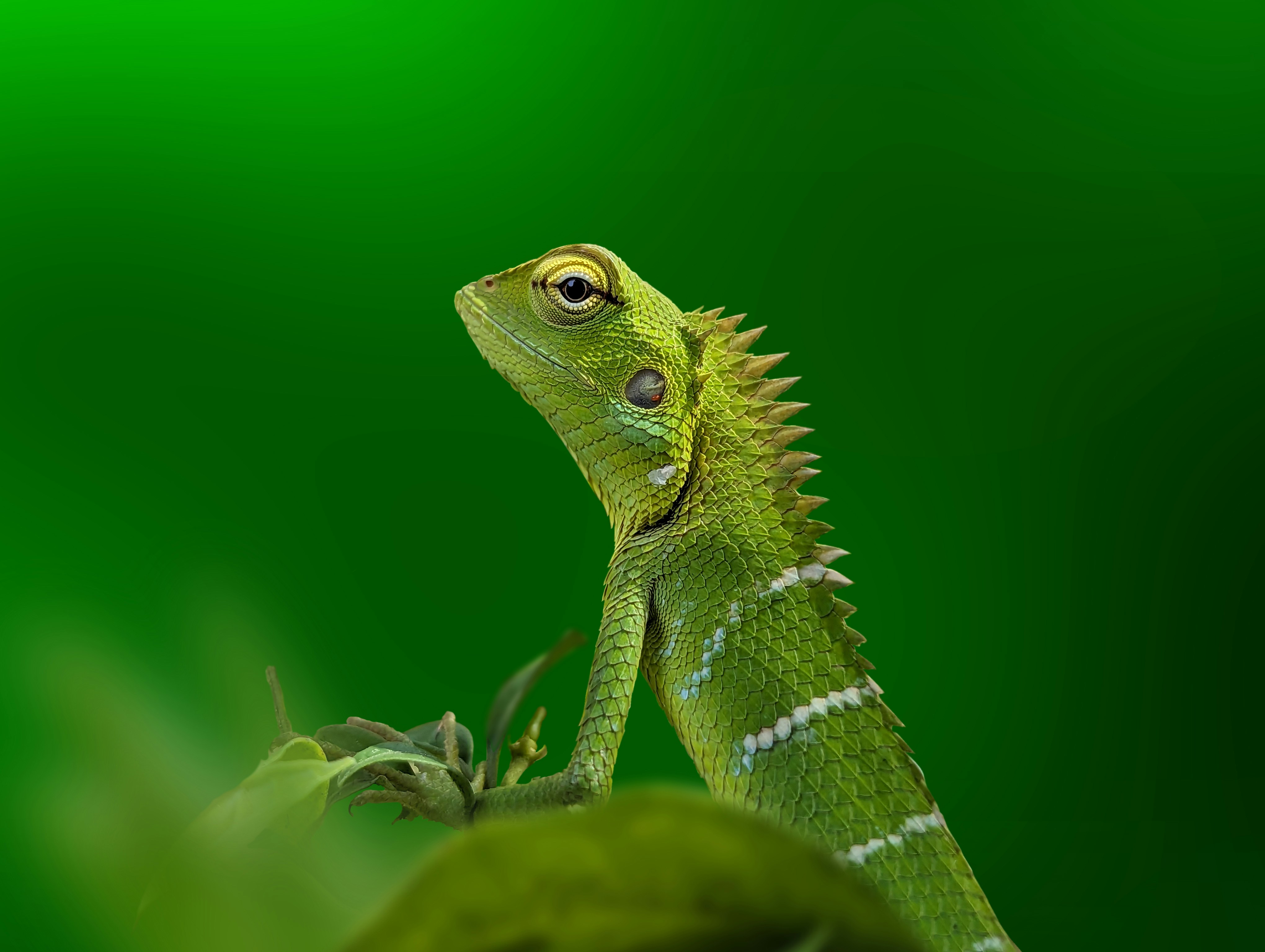 Sample photo from Google Pixel 6 Pro