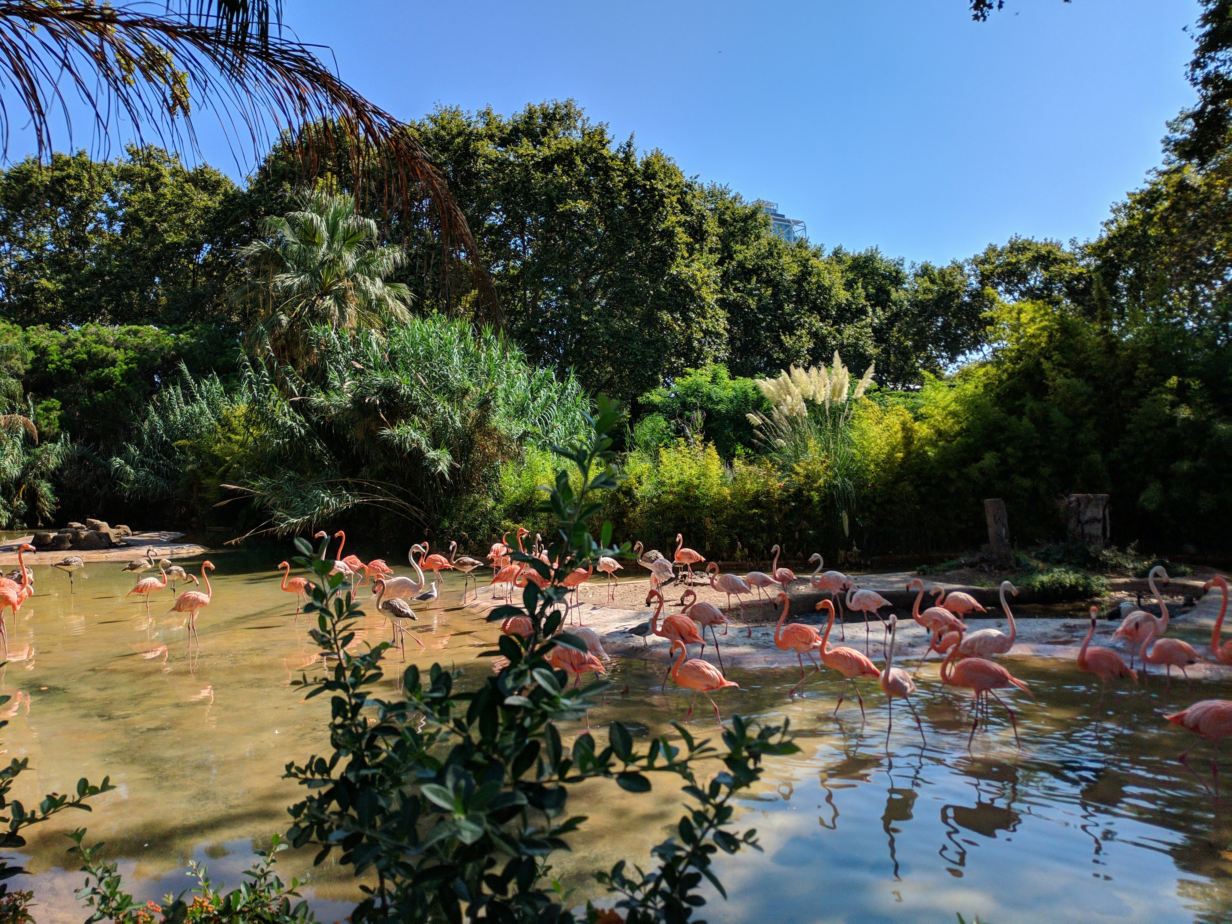 Photo by Alexander starcew with Asus ZenFone 5