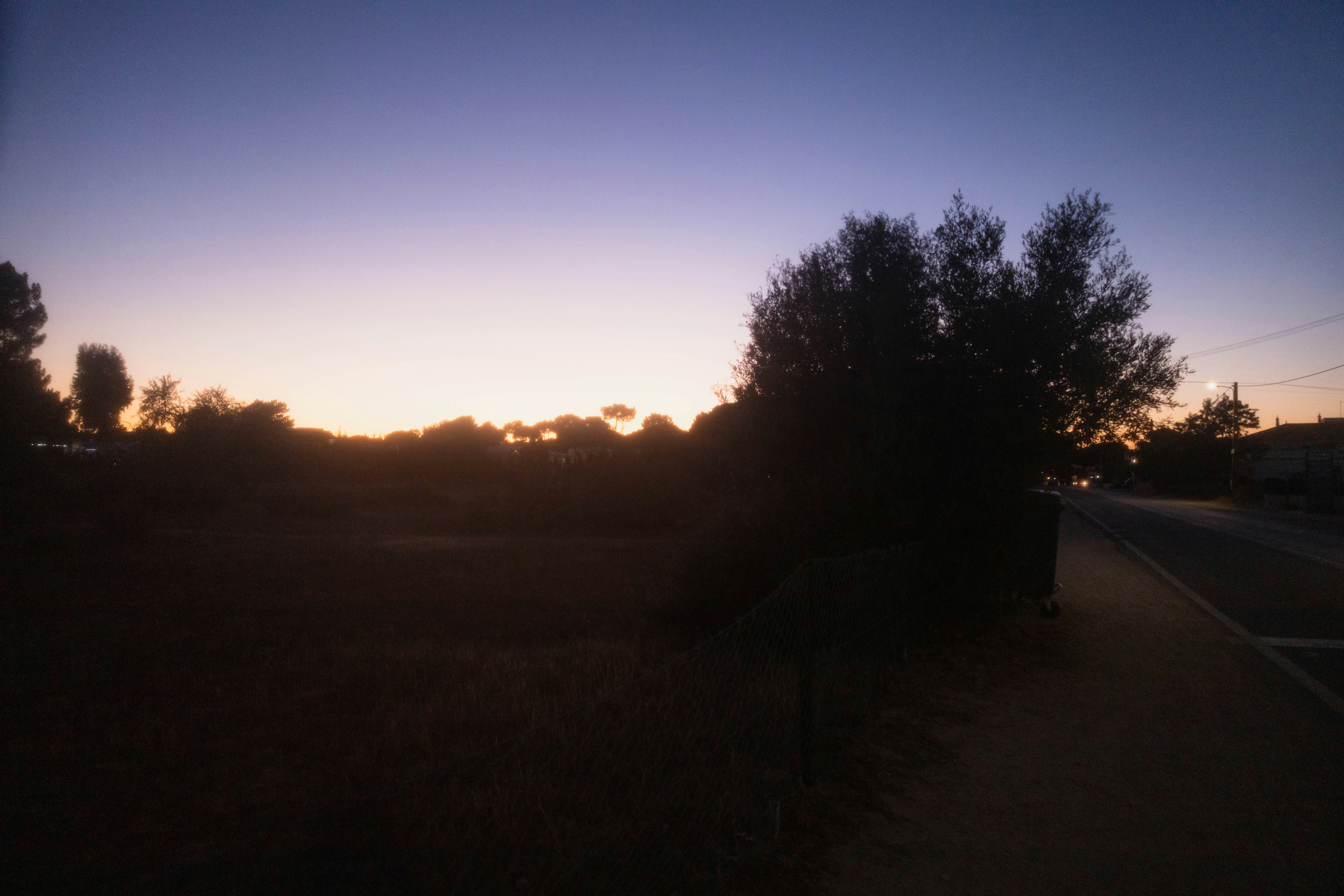 Photo by Mariana Brás with Canon EOS RP