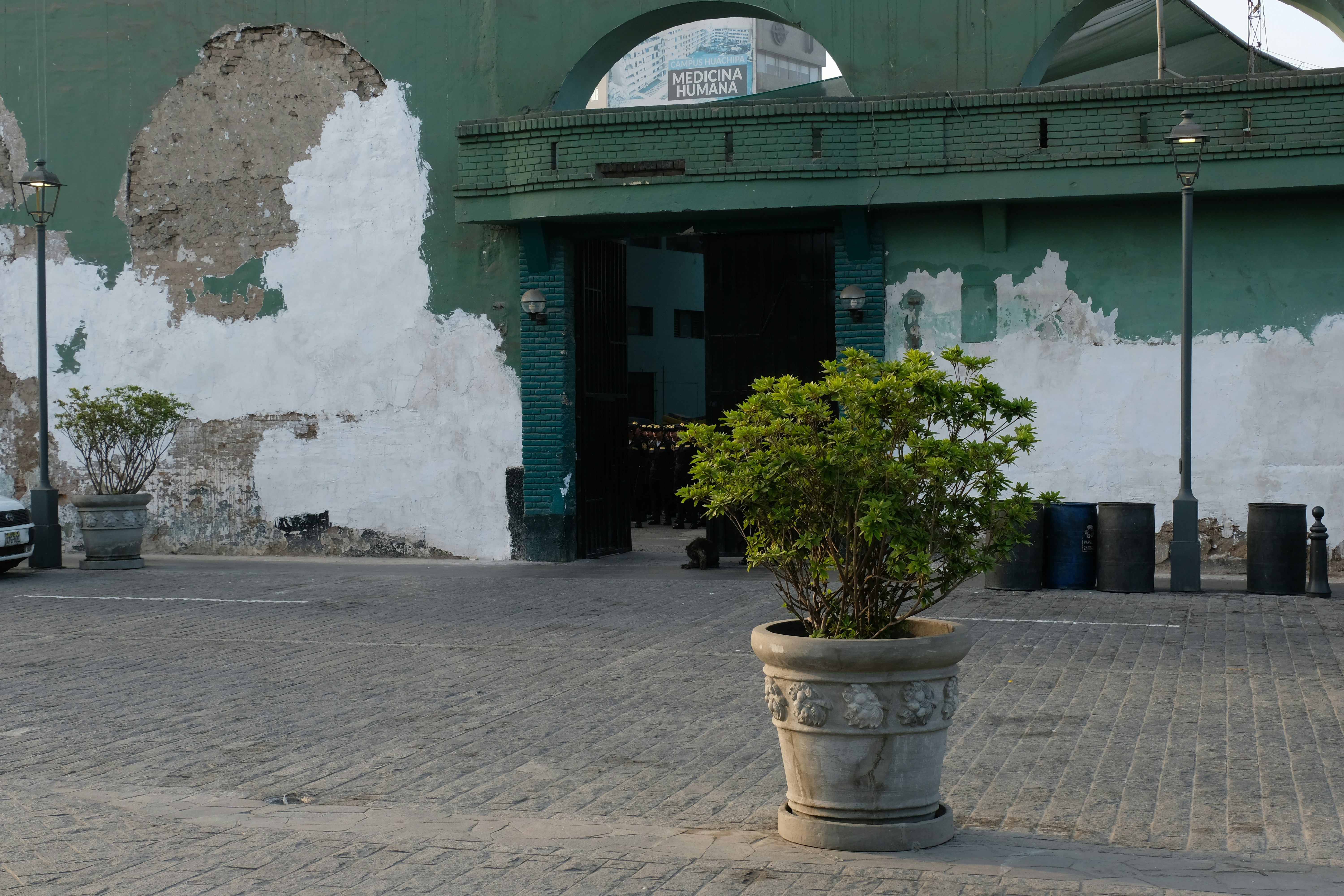Une plante en pot assise devant un bâtiment photo – Photo Lima Gratuite ...