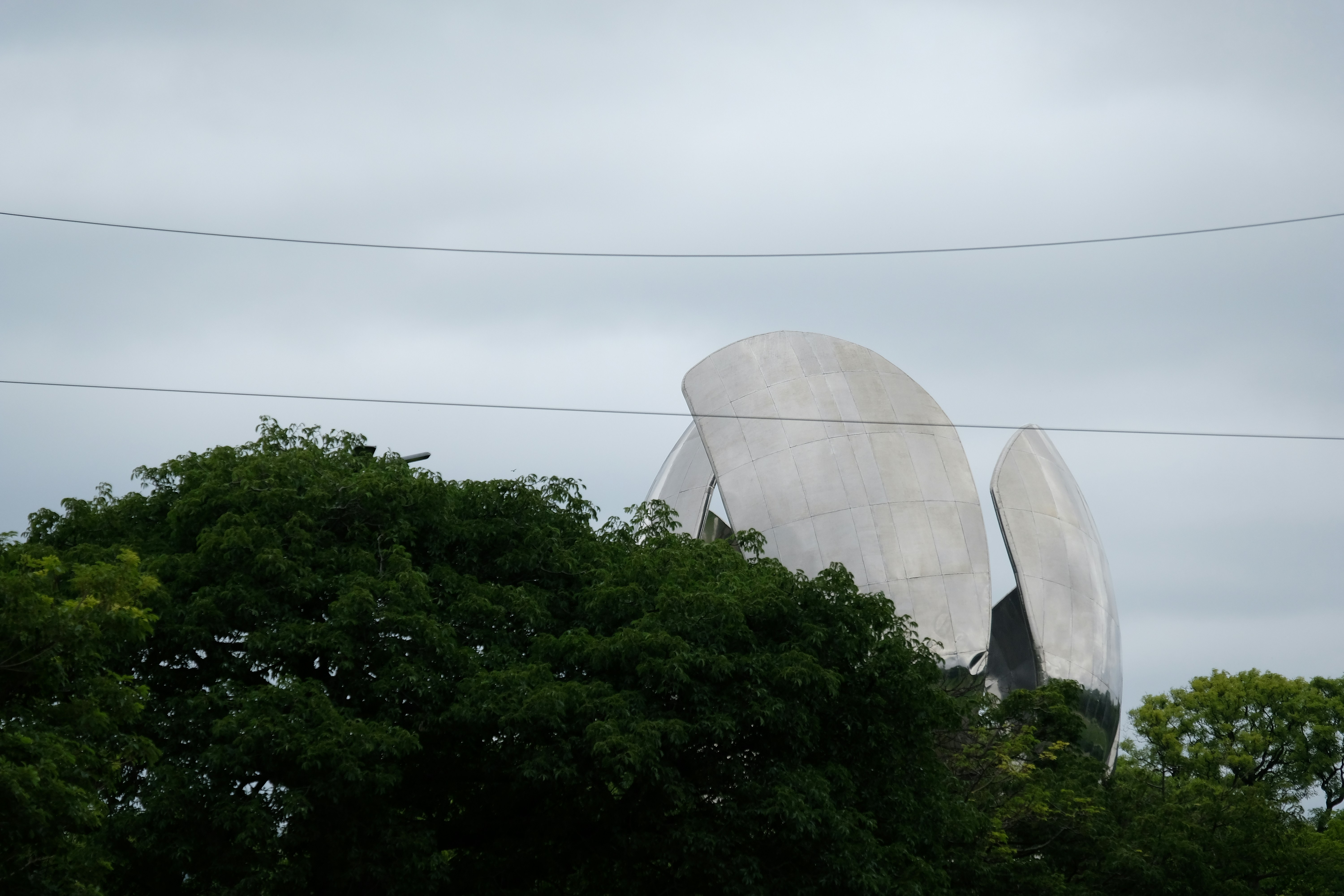 A couple of large metal structures in the middle of a forest photo ...