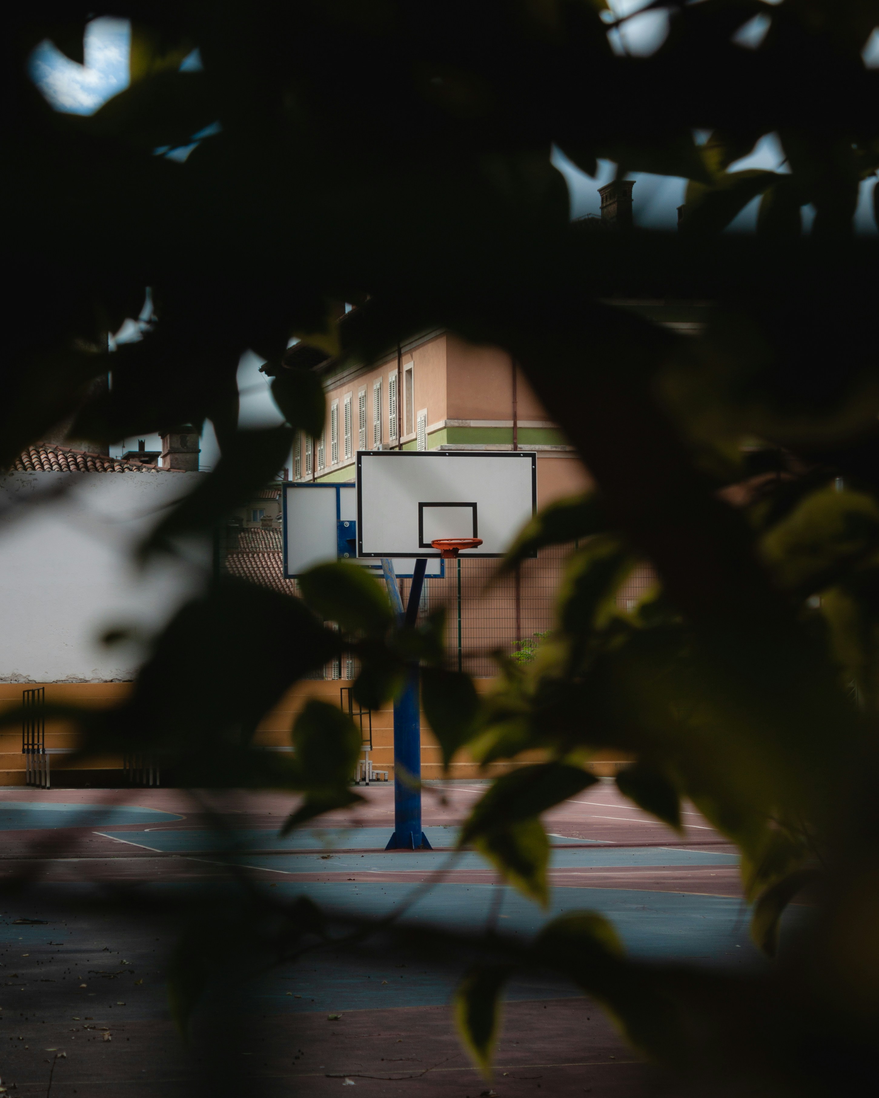 A view of a basketball court through the branches of a tree photo ...