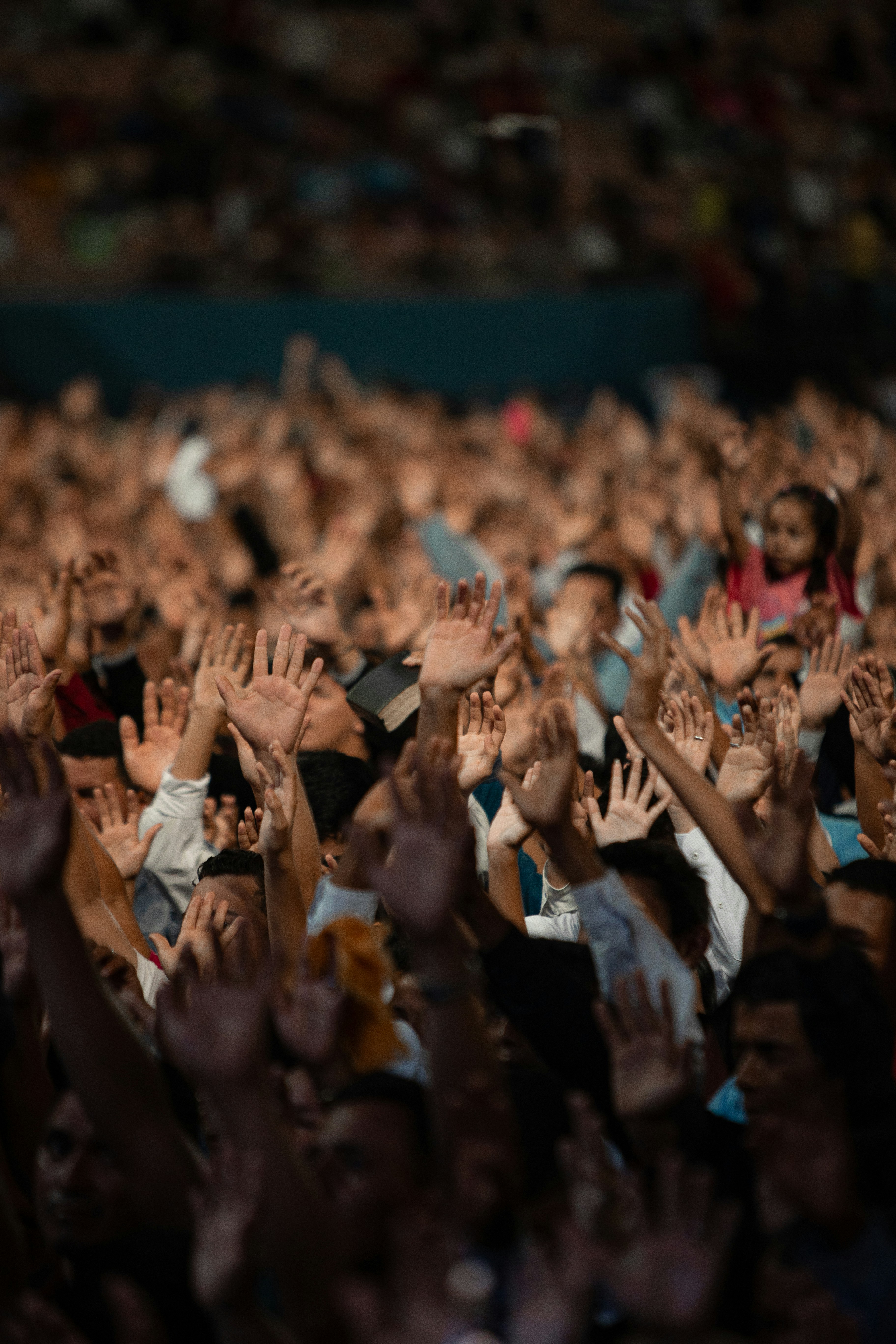 A crowd of people with their hands in the air photo – Free Girl Image ...