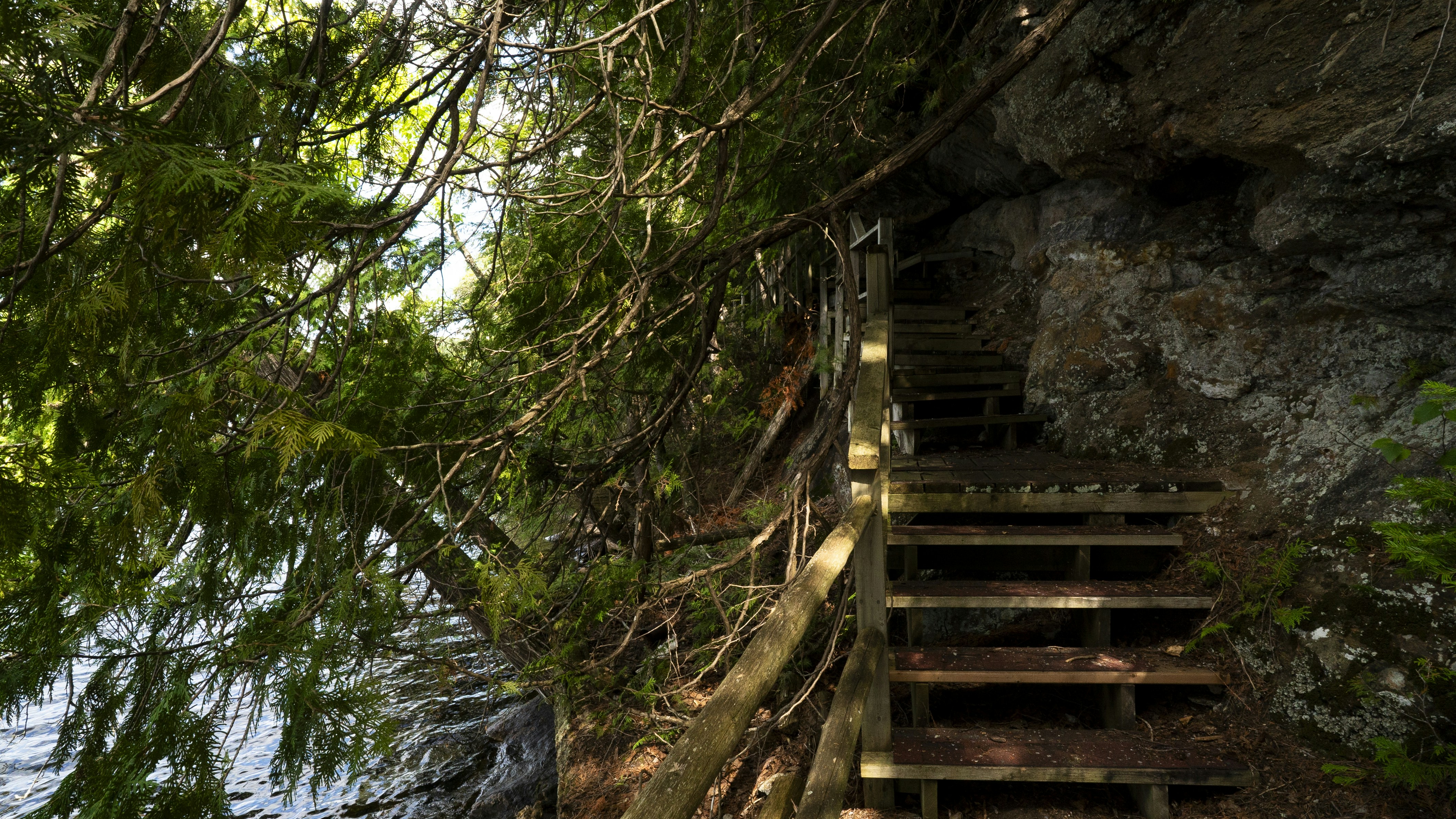 Moss-Wreathed Cliff Staircase: Timber Path Along a Rock Face