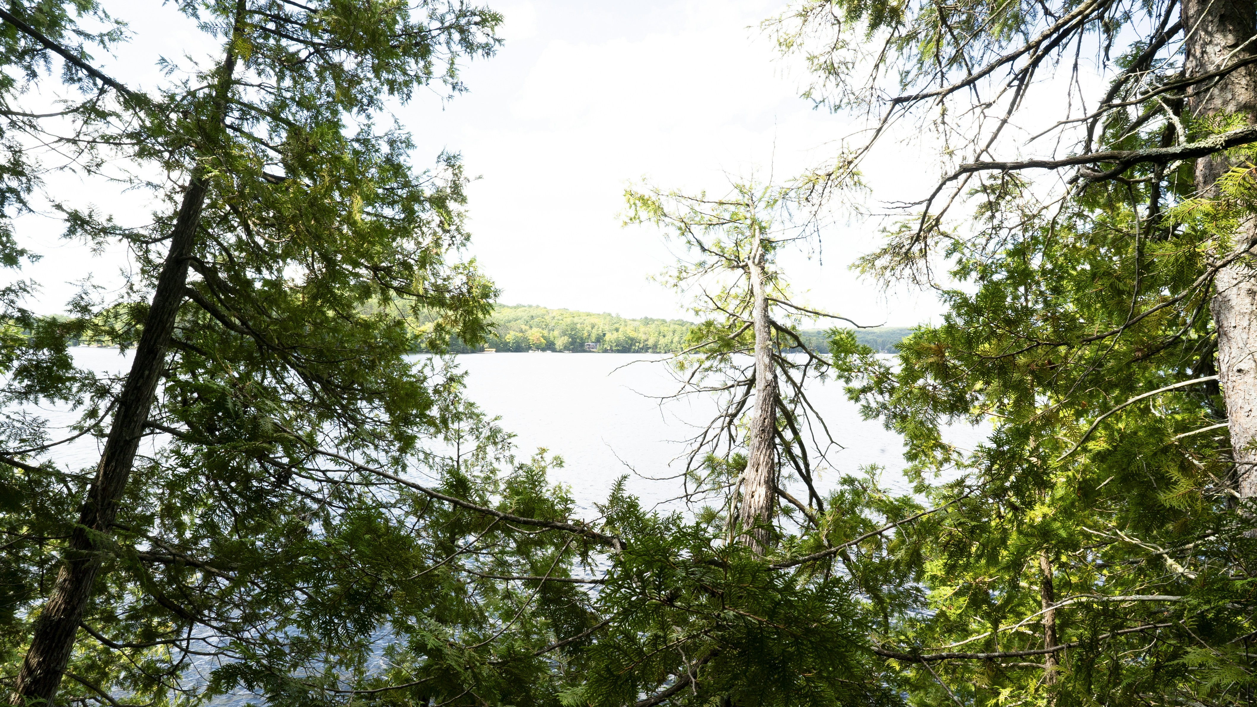 Une vue d’un lac à travers quelques arbres photo – Photo Lac ...