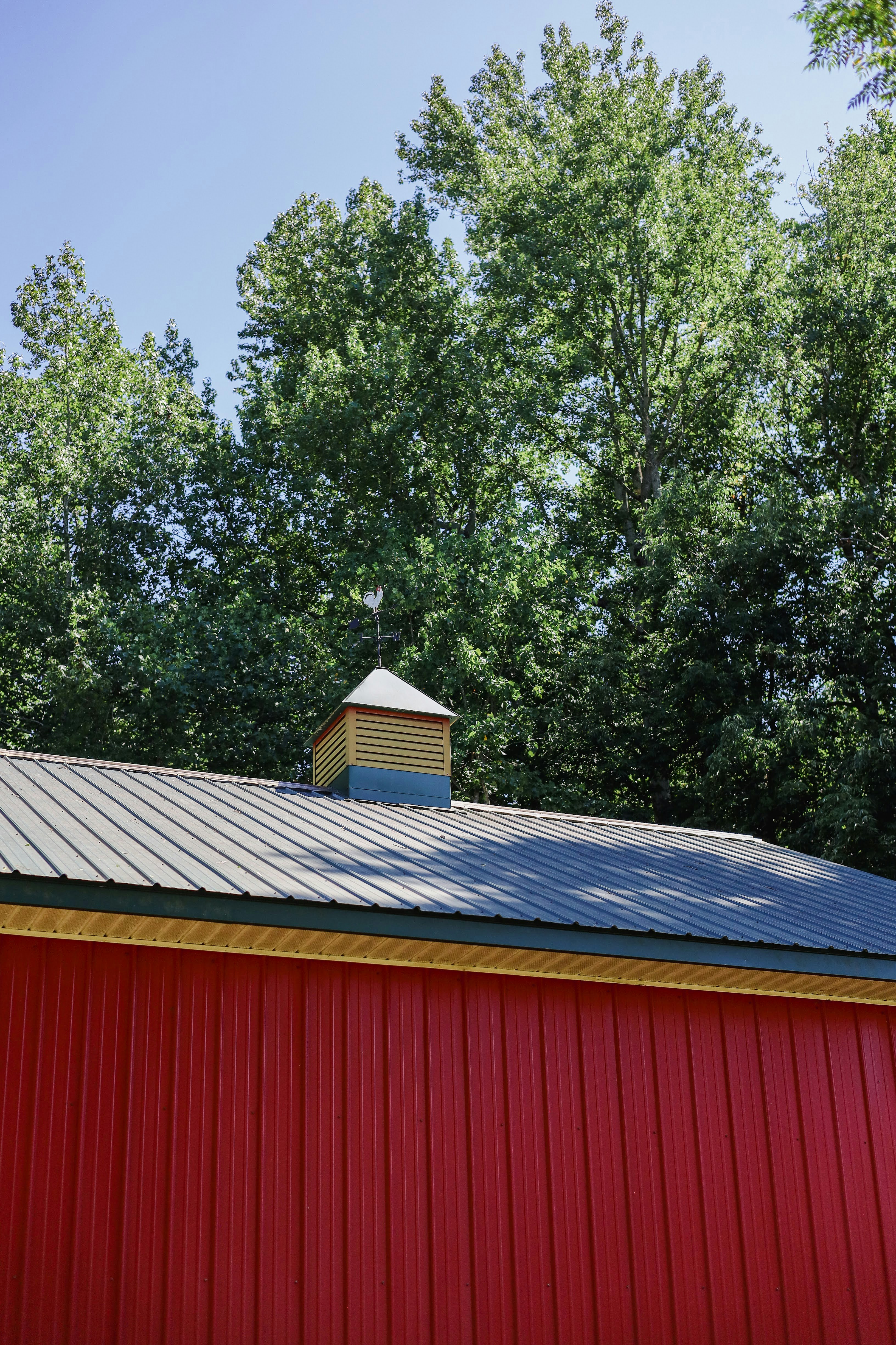 Crimson Barn Cupola Rising Above a Quiet Green Canopy
