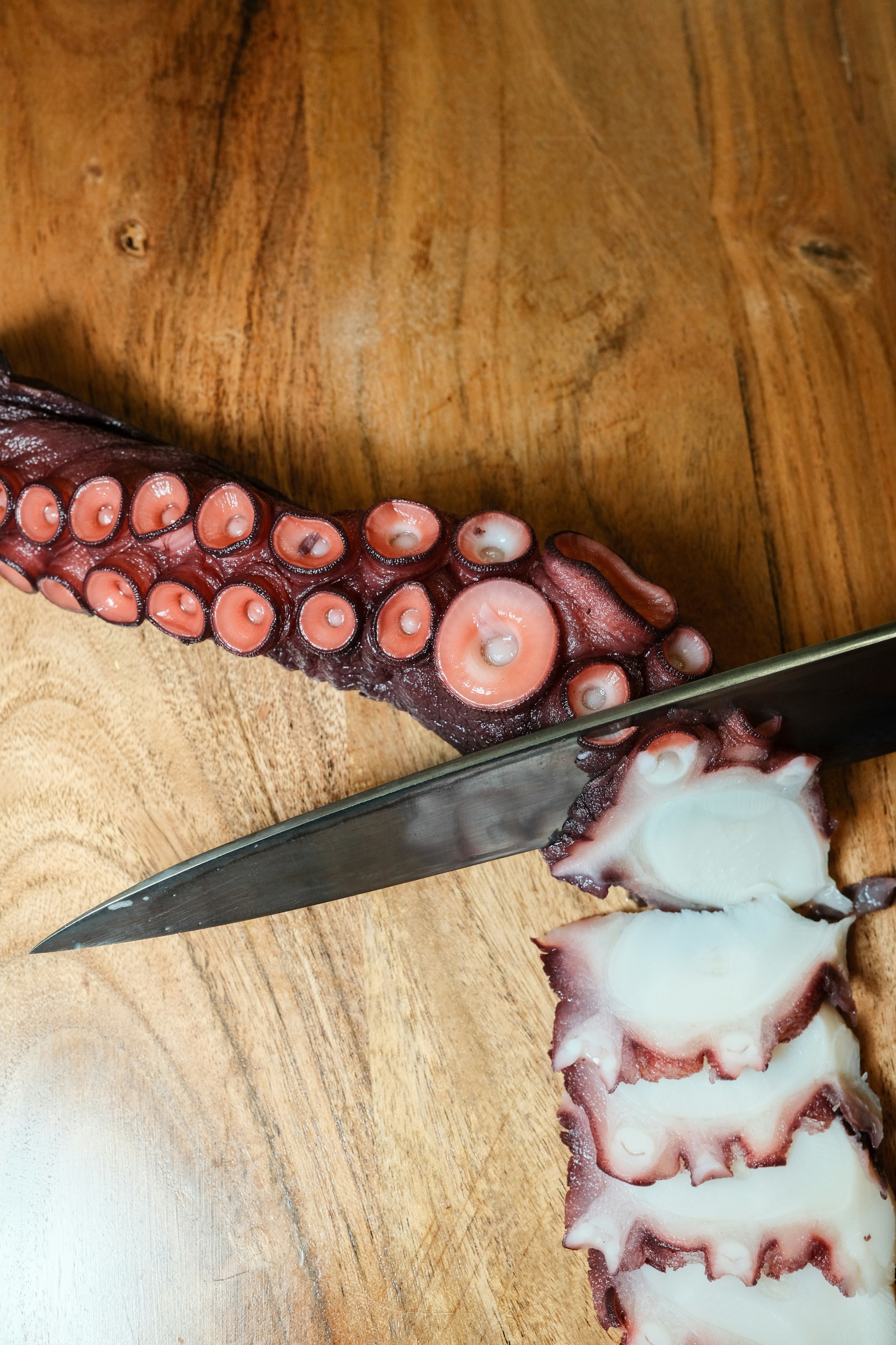 An octopus cut in half with a pair of scissors photo – Free Weapon ...