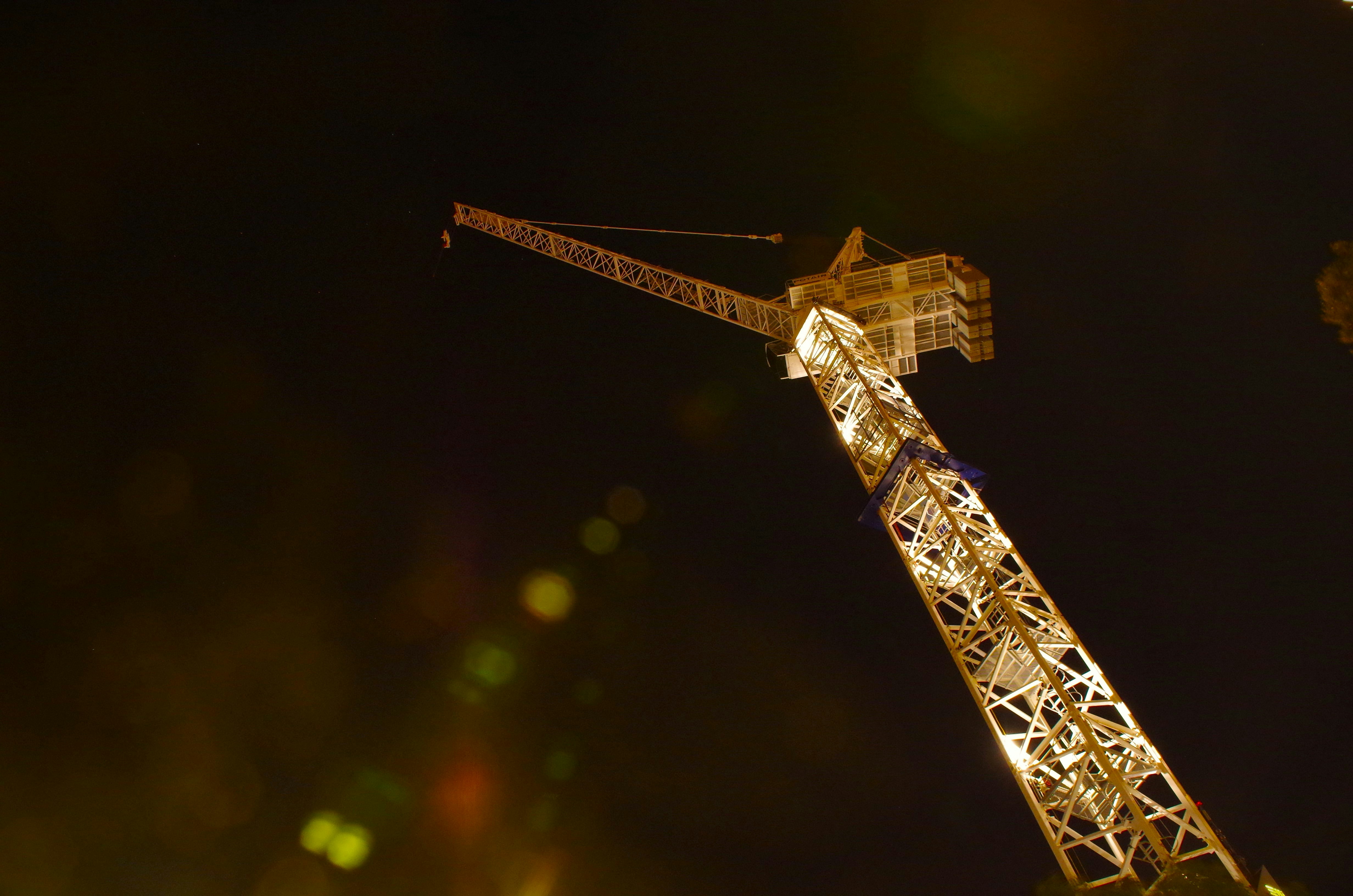 Night Crane in Golden Mesh: A Luminous Lattice Reaches into the Dark